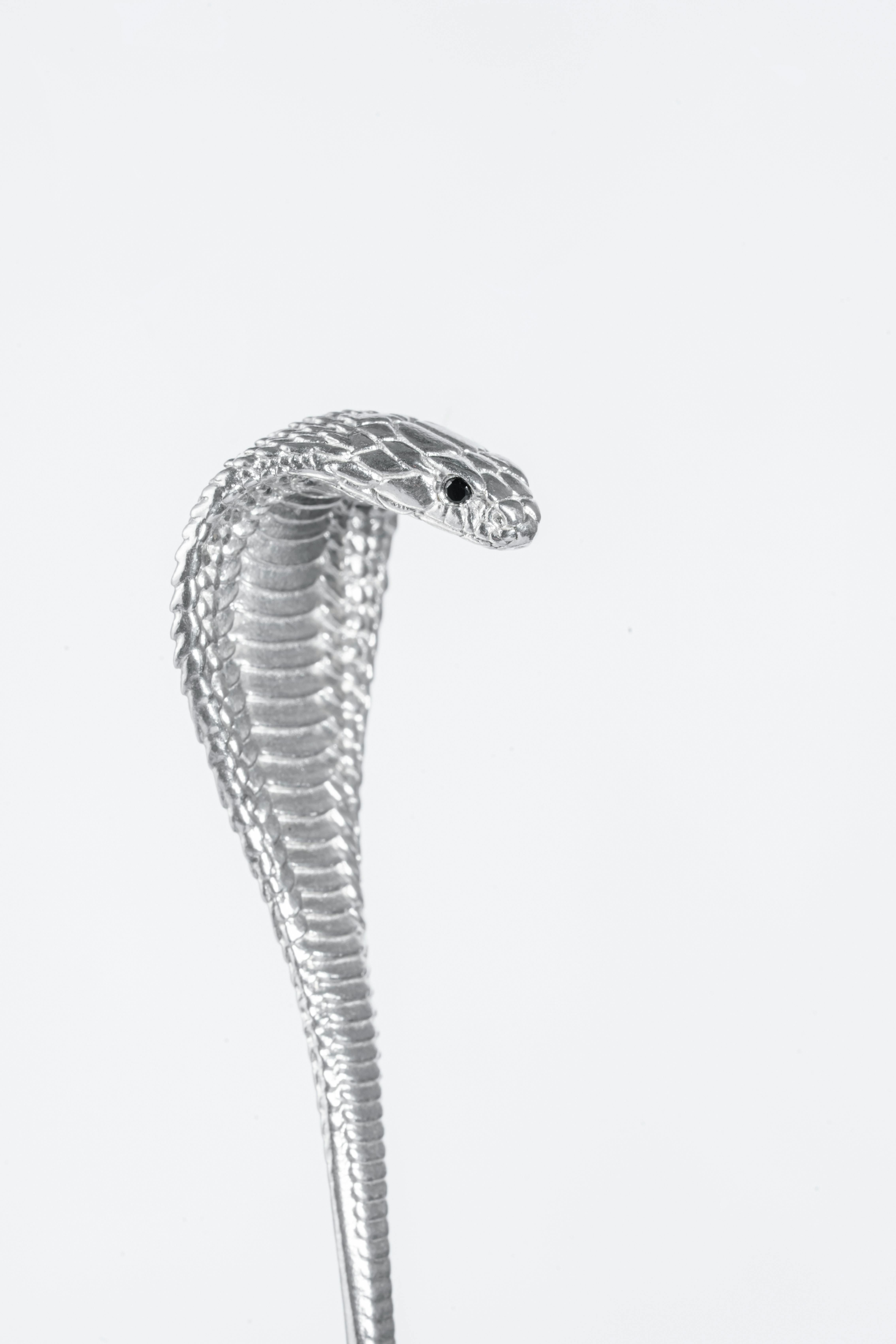 Silver Snake Spoon · Free Stock Photo