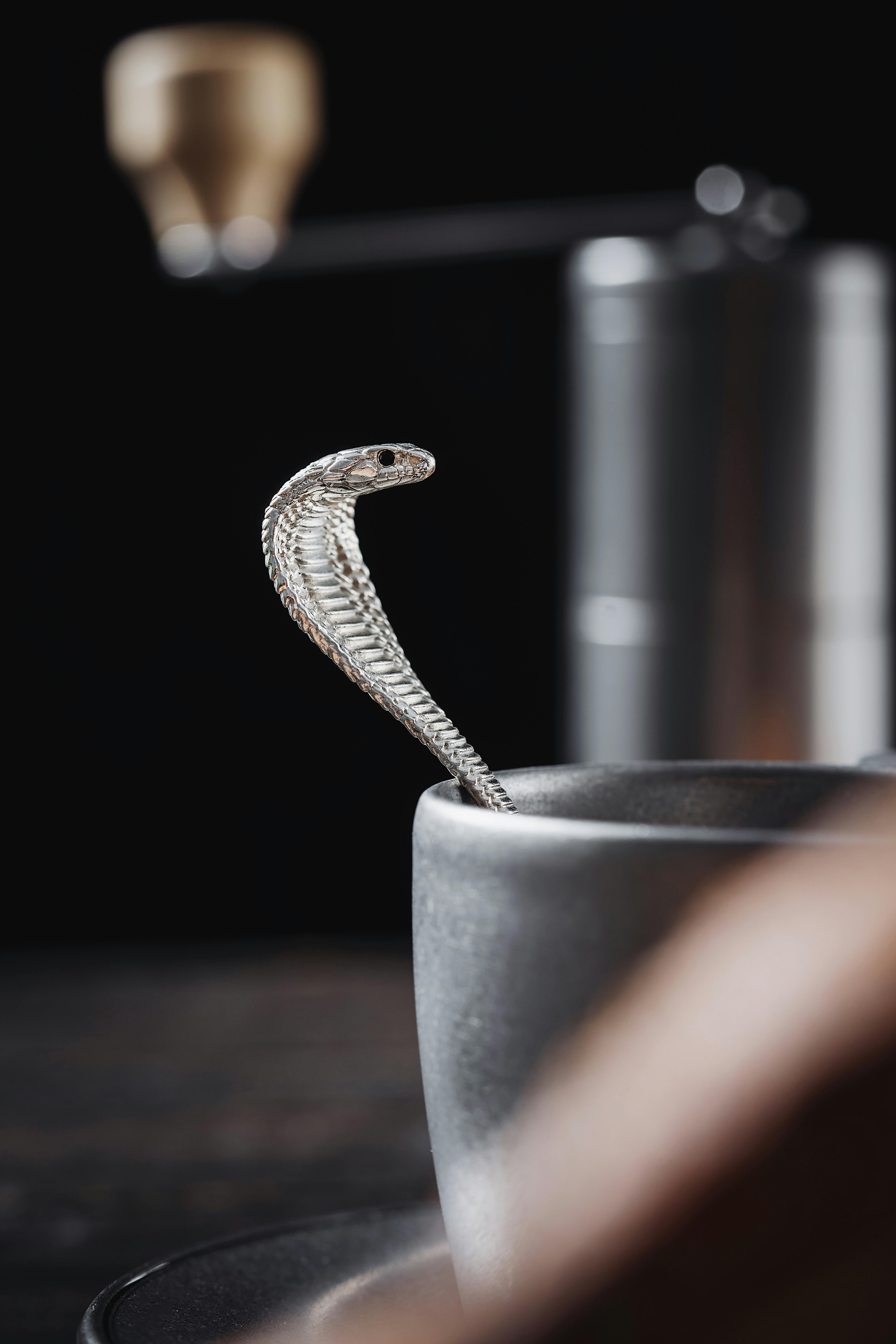 Cobra Coffee Spoon · Free Stock Photo