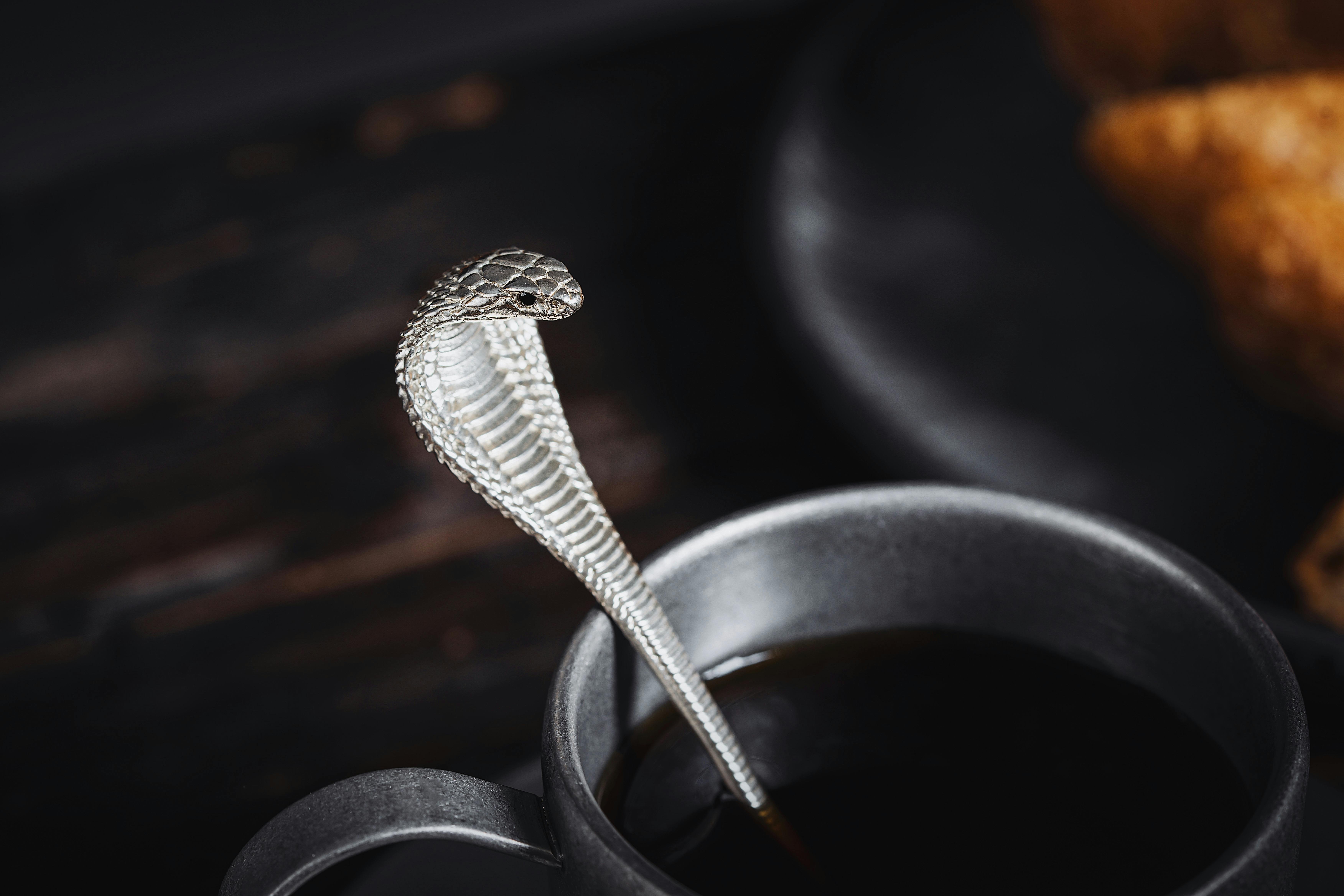 Snake Cup Phamarcy Photos, Download The BEST Free Snake Cup Phamarcy ...