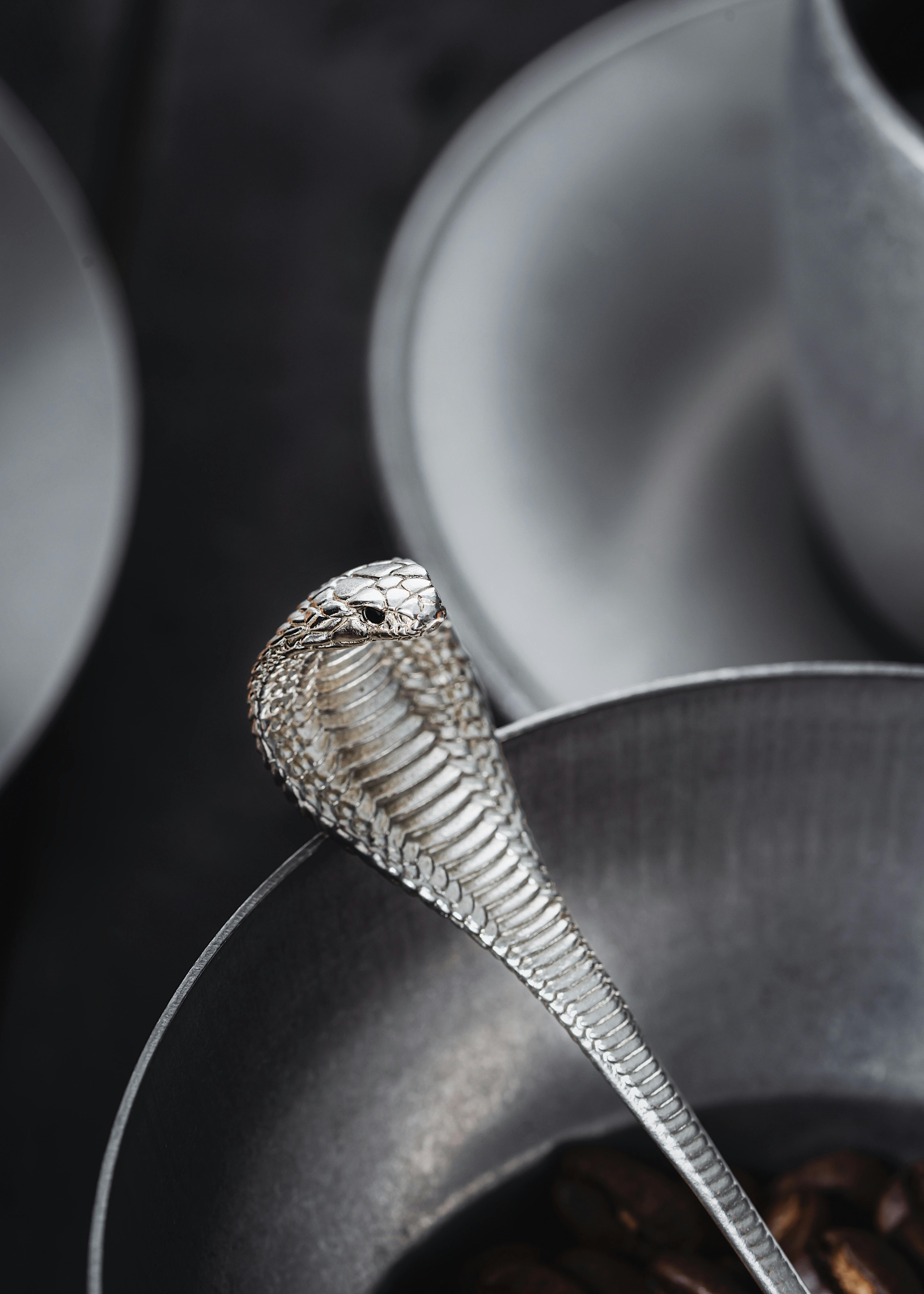 Close up of Silver Snake Spoon · Free Stock Photo