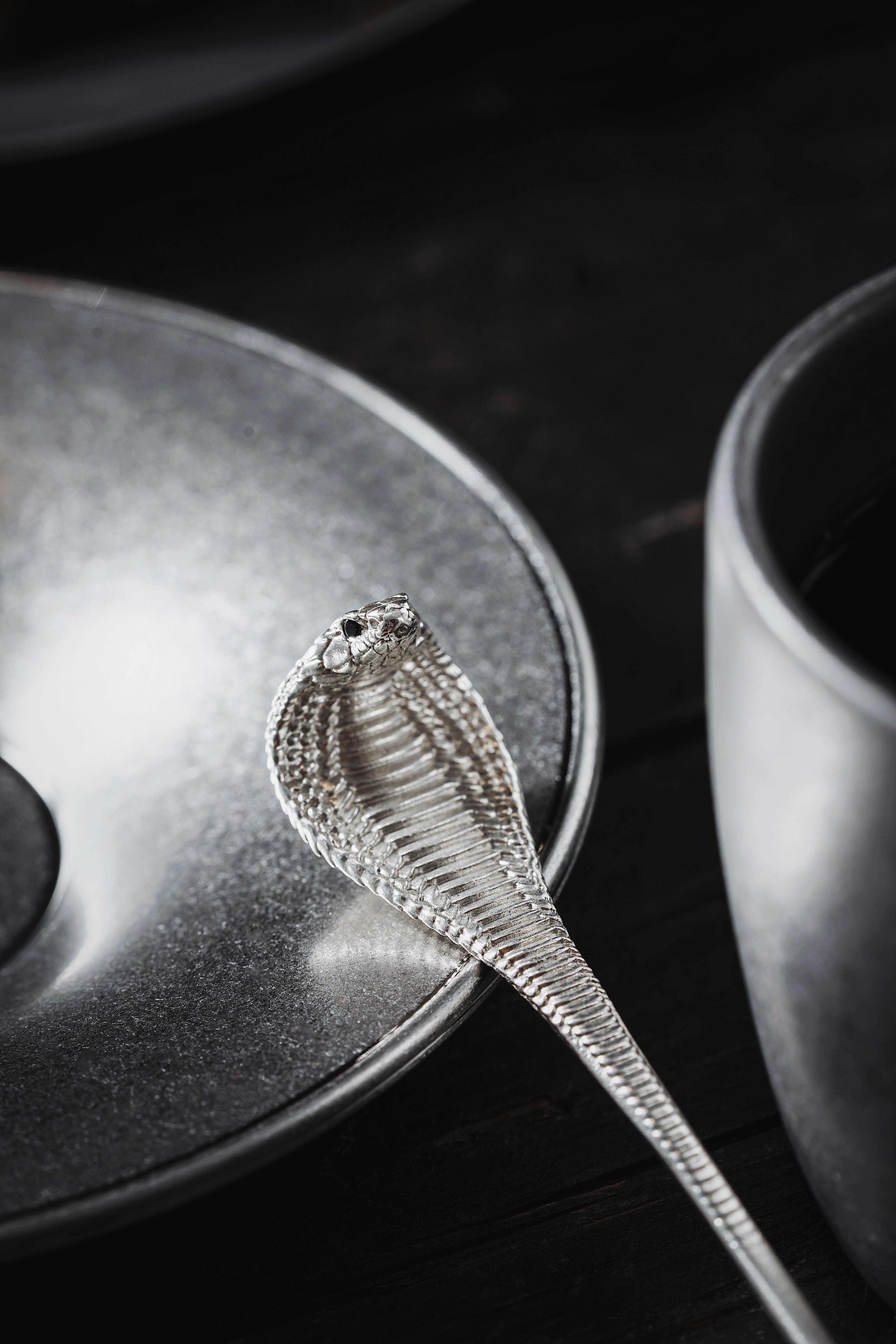 Silver Snake Spoon · Free Stock Photo