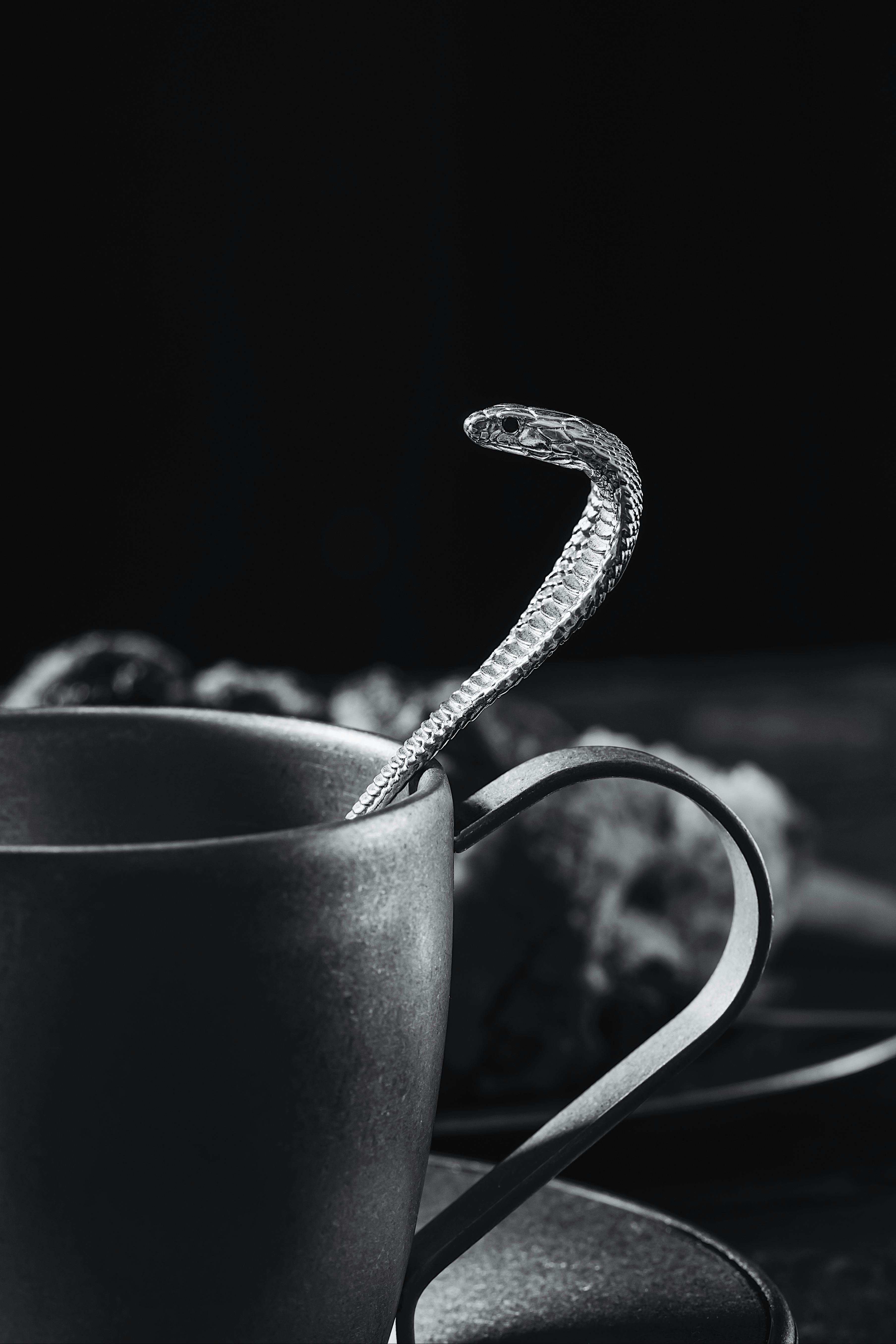 Snake Spoon in Cup in Black and White · Free Stock Photo