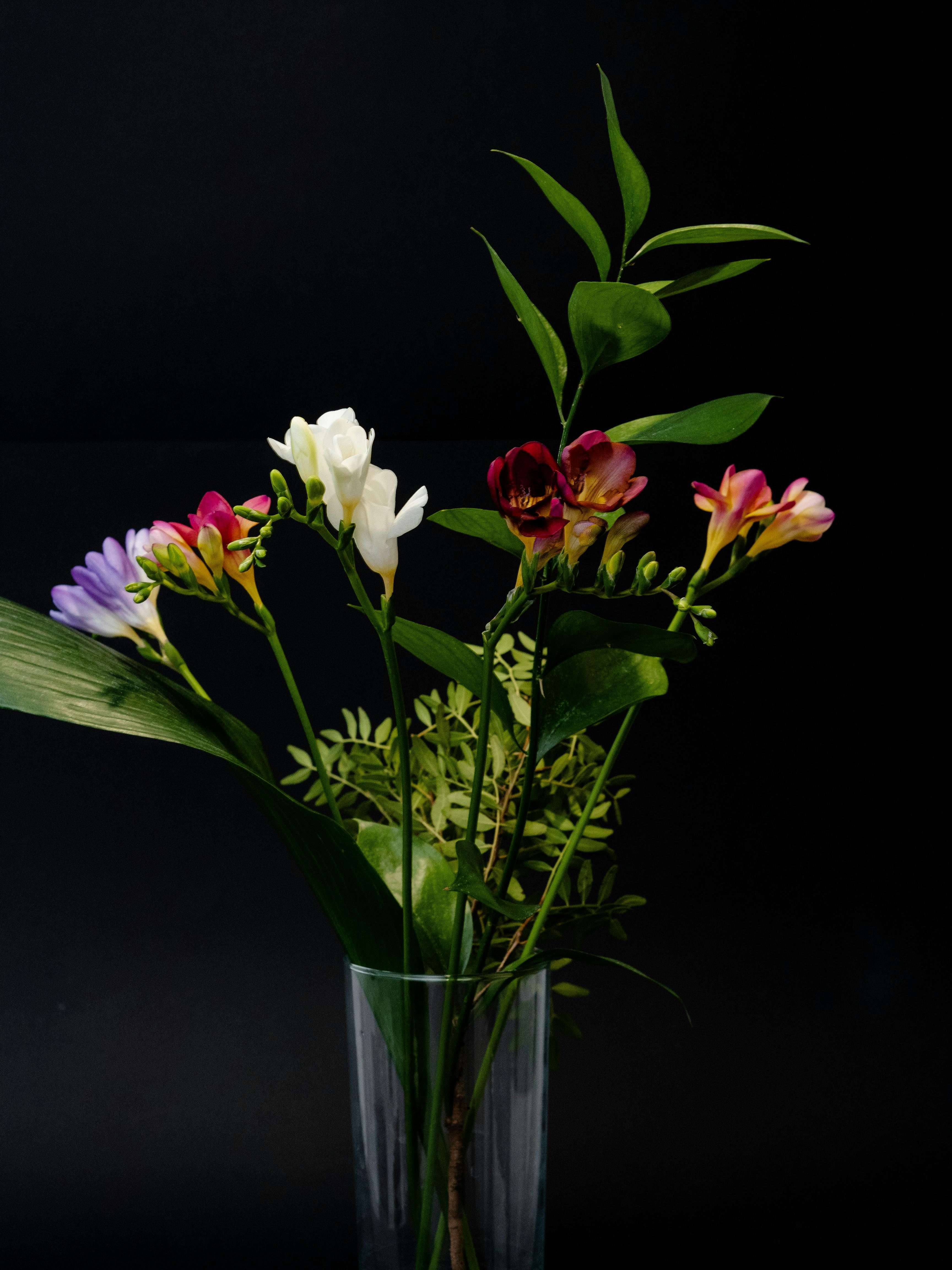 Still Life with Flower · Free Stock Photo