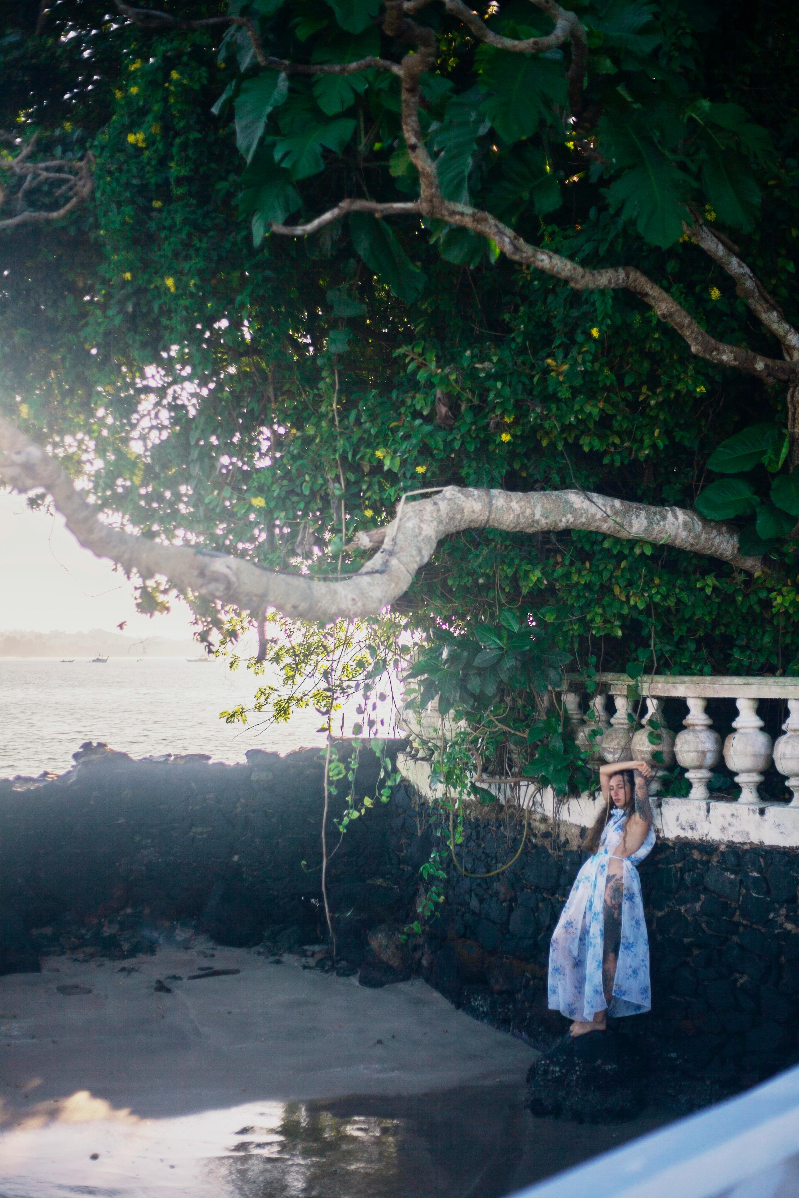 Luxuriant Photos, Download The BEST Free Luxuriant Stock Photos & HD Images