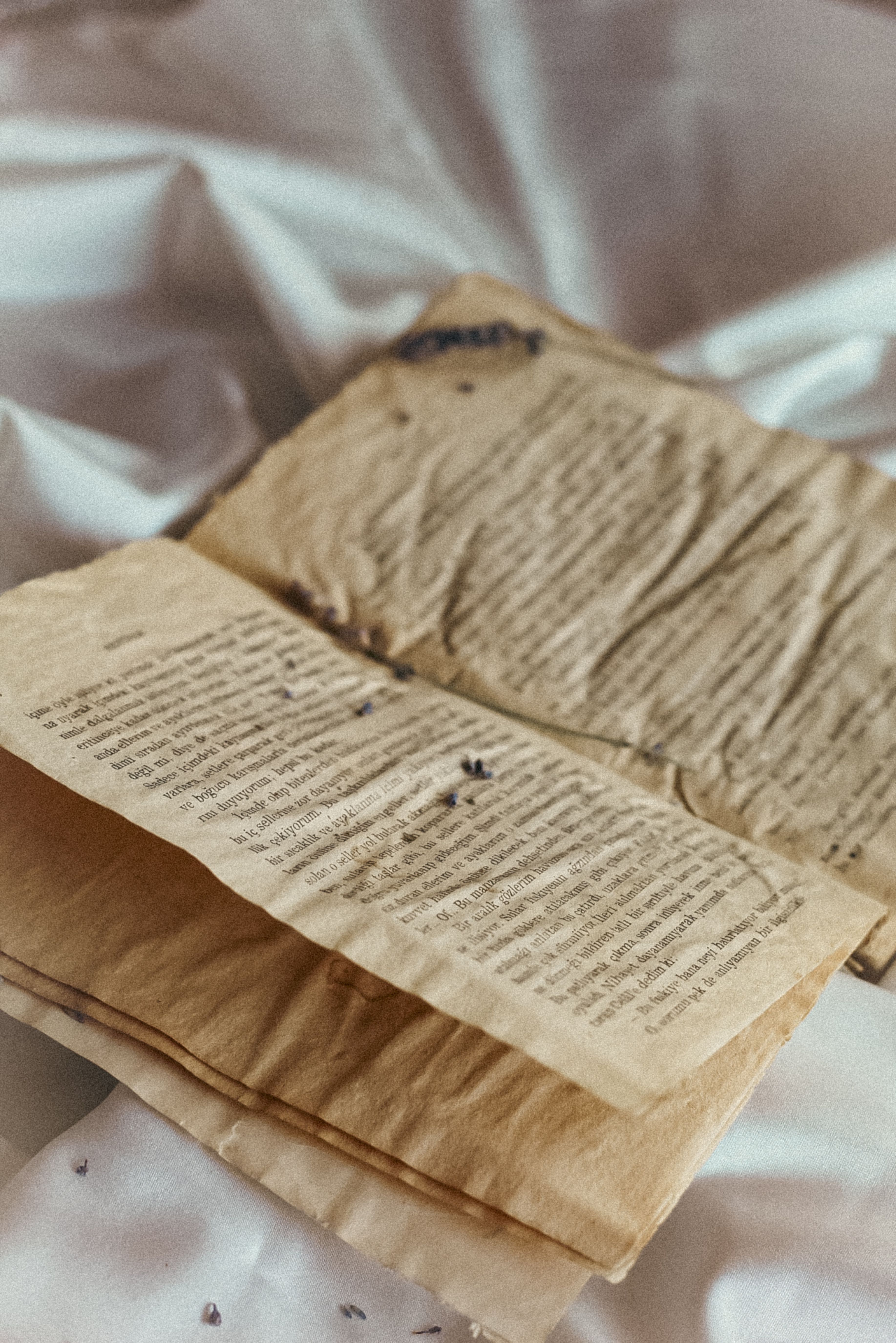 Damaged Book Photos, Download The BEST Free Damaged Book Stock Photos ...