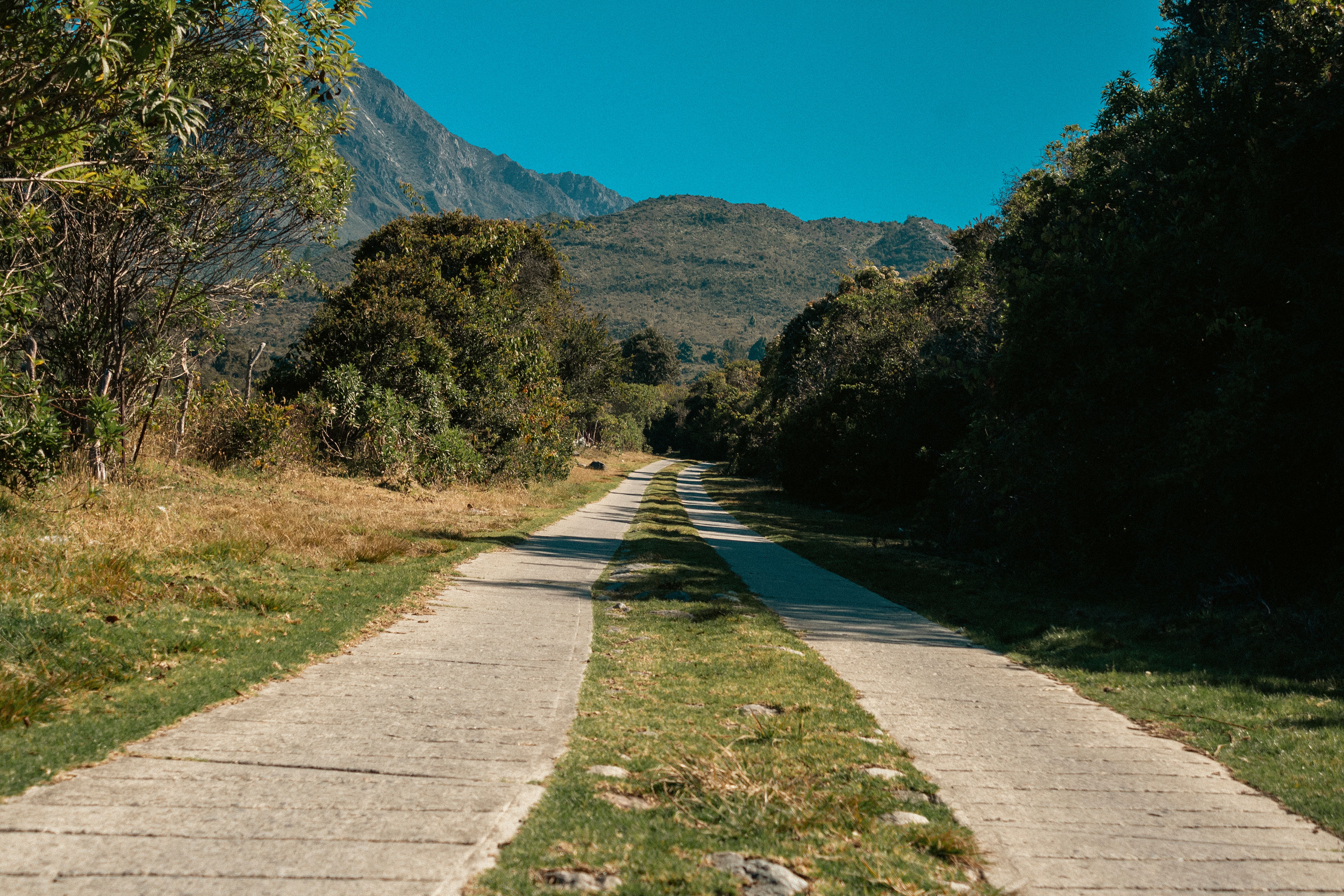 Foto Guia Fivem Terbaik · Unduh Gratis 100% · Foto Stok Pexels
