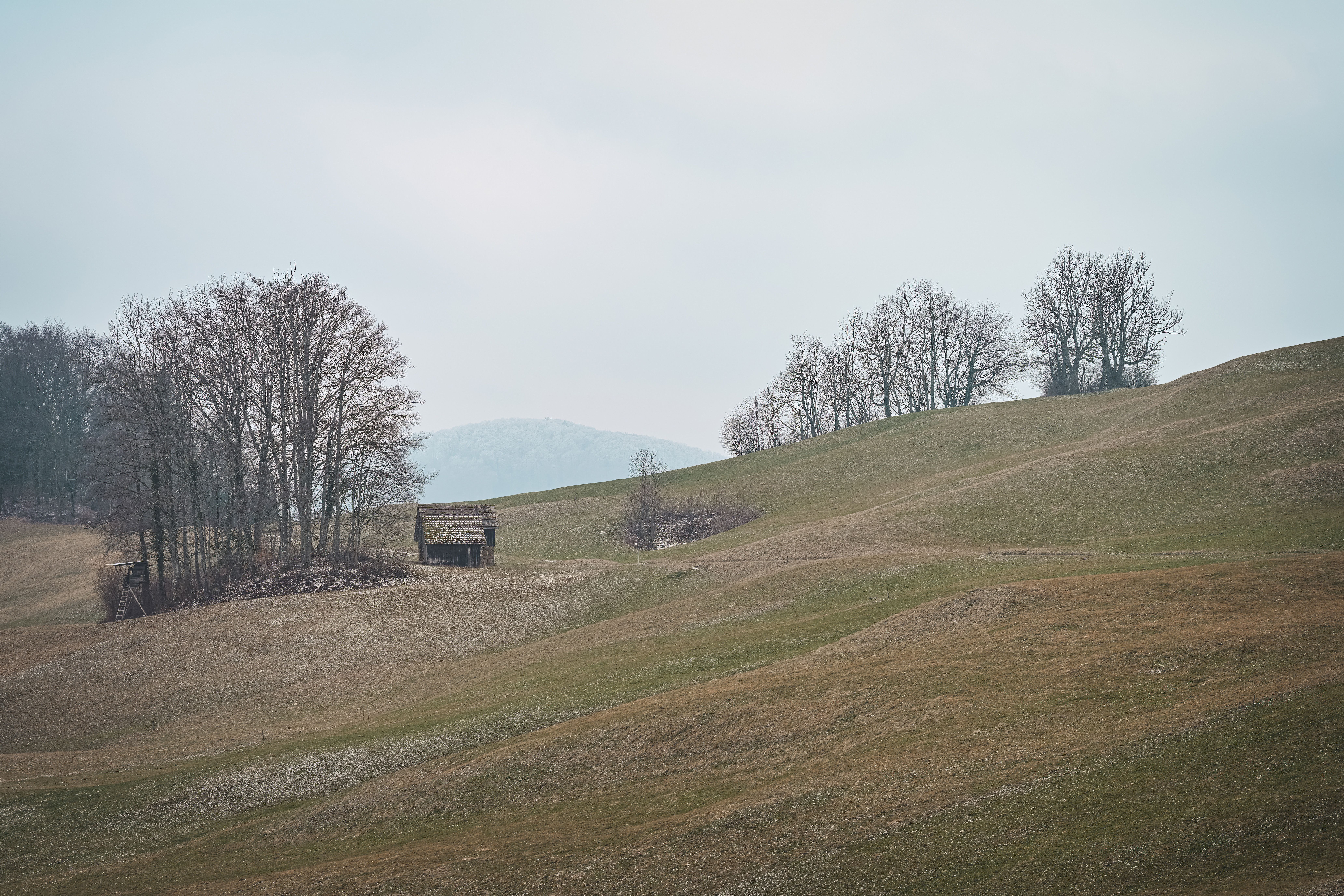 Wooden Cottage on Meadow · Free Stock Photo