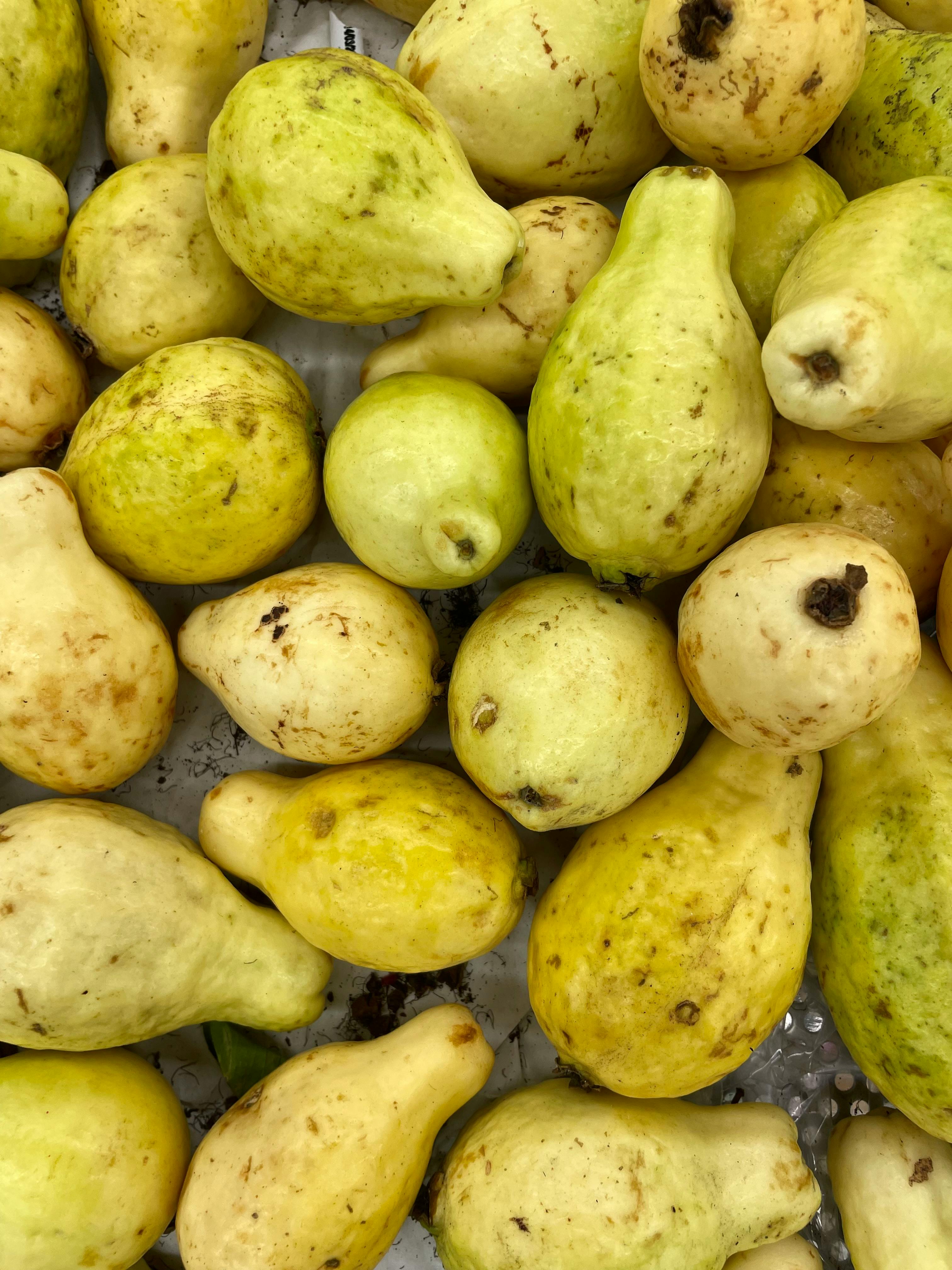 Tree Crowns of a Forest · Free Stock Photo