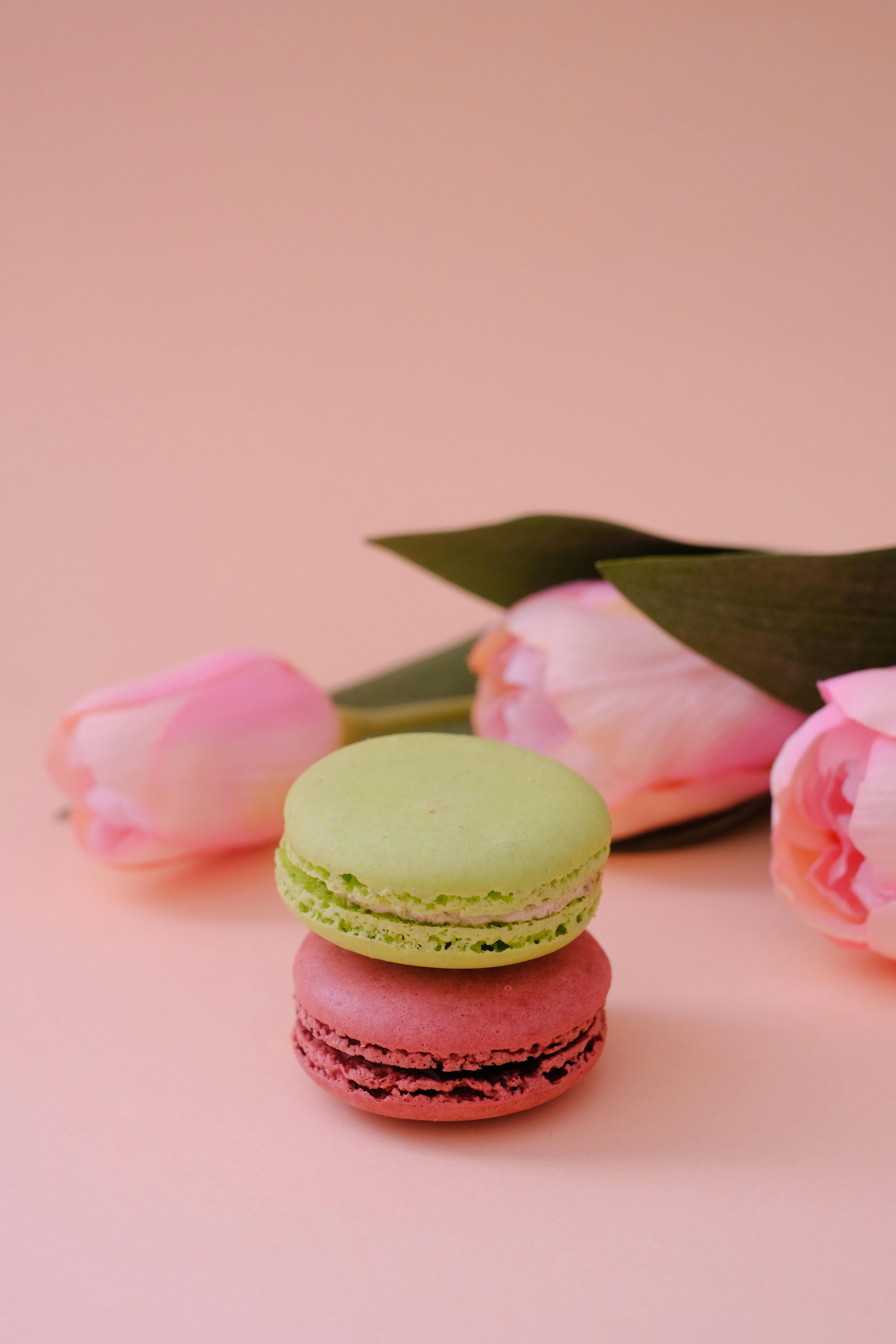 French Macaroons and Flowers · Free Stock Photo