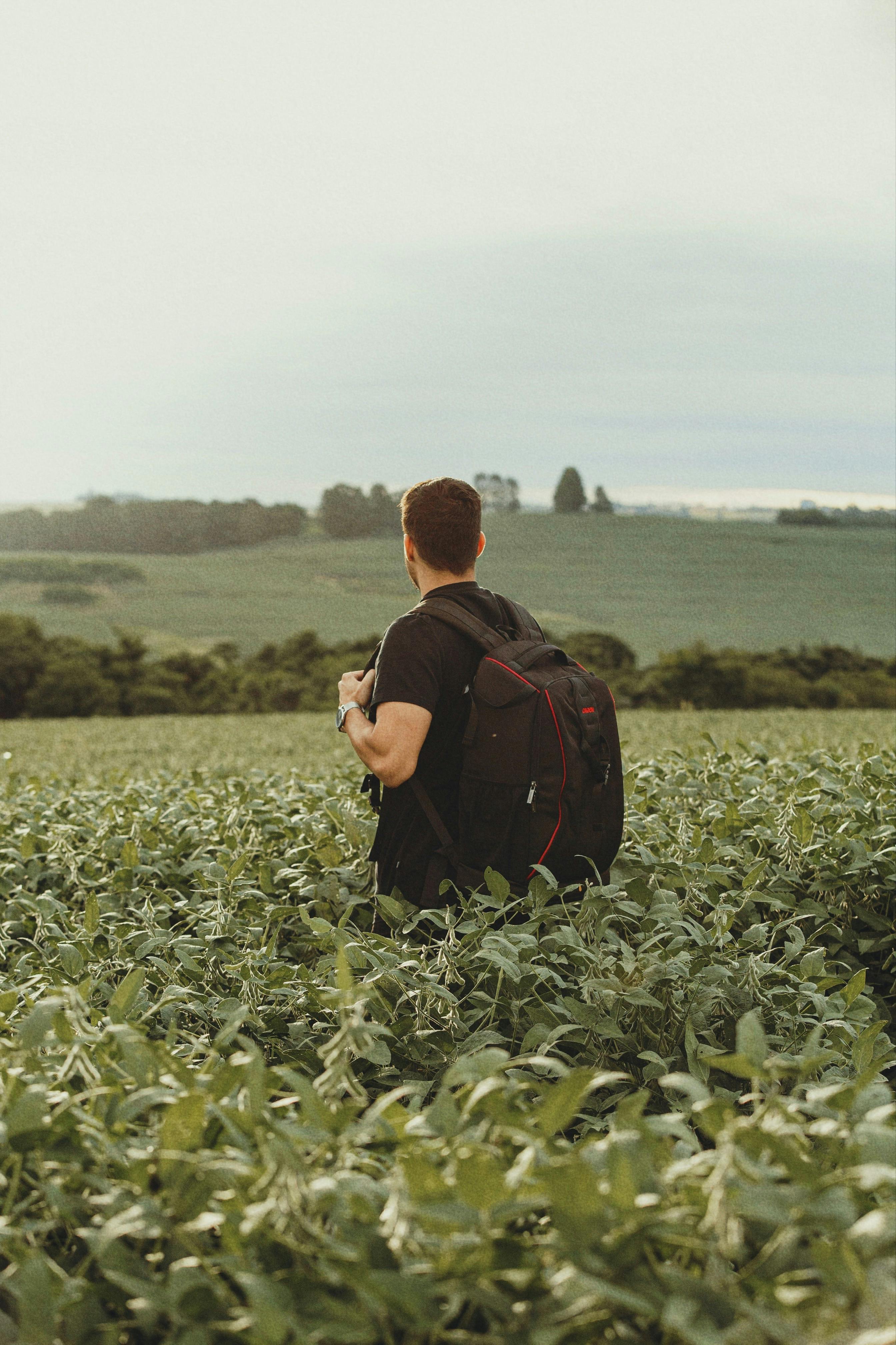 Man with a Backpack Standing in a Field · Free Stock Photo