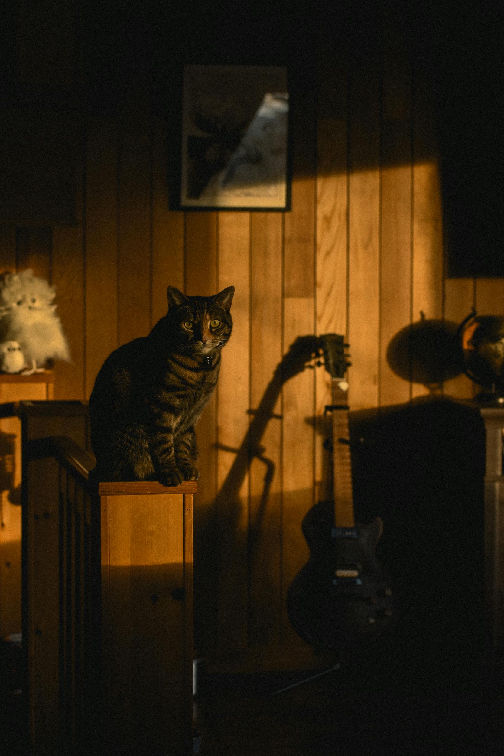 Room Interior Photos, Download The BEST Free Room Interior Stock Photos ...