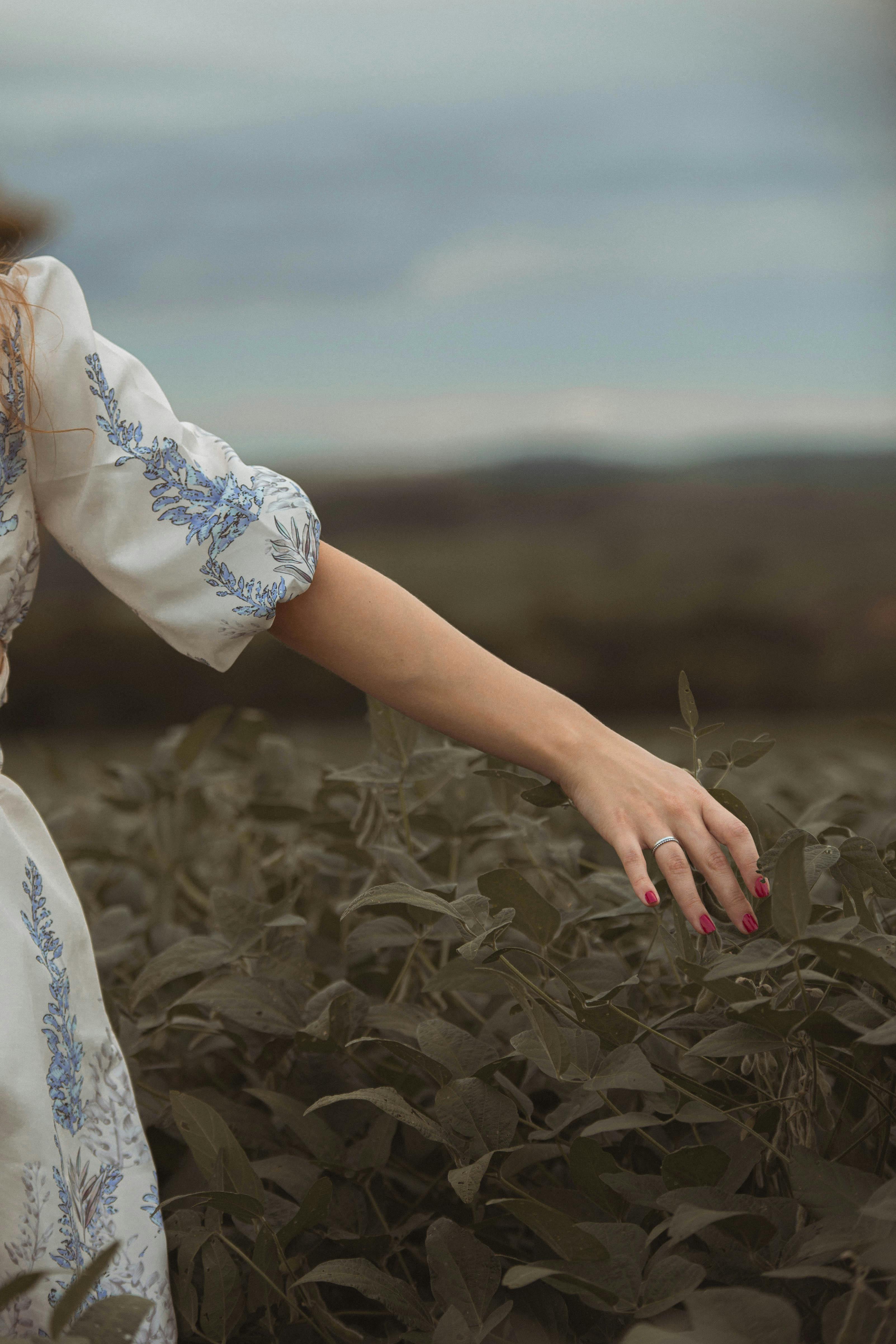 Hand of a Woman Touching Plants · Free Stock Photo