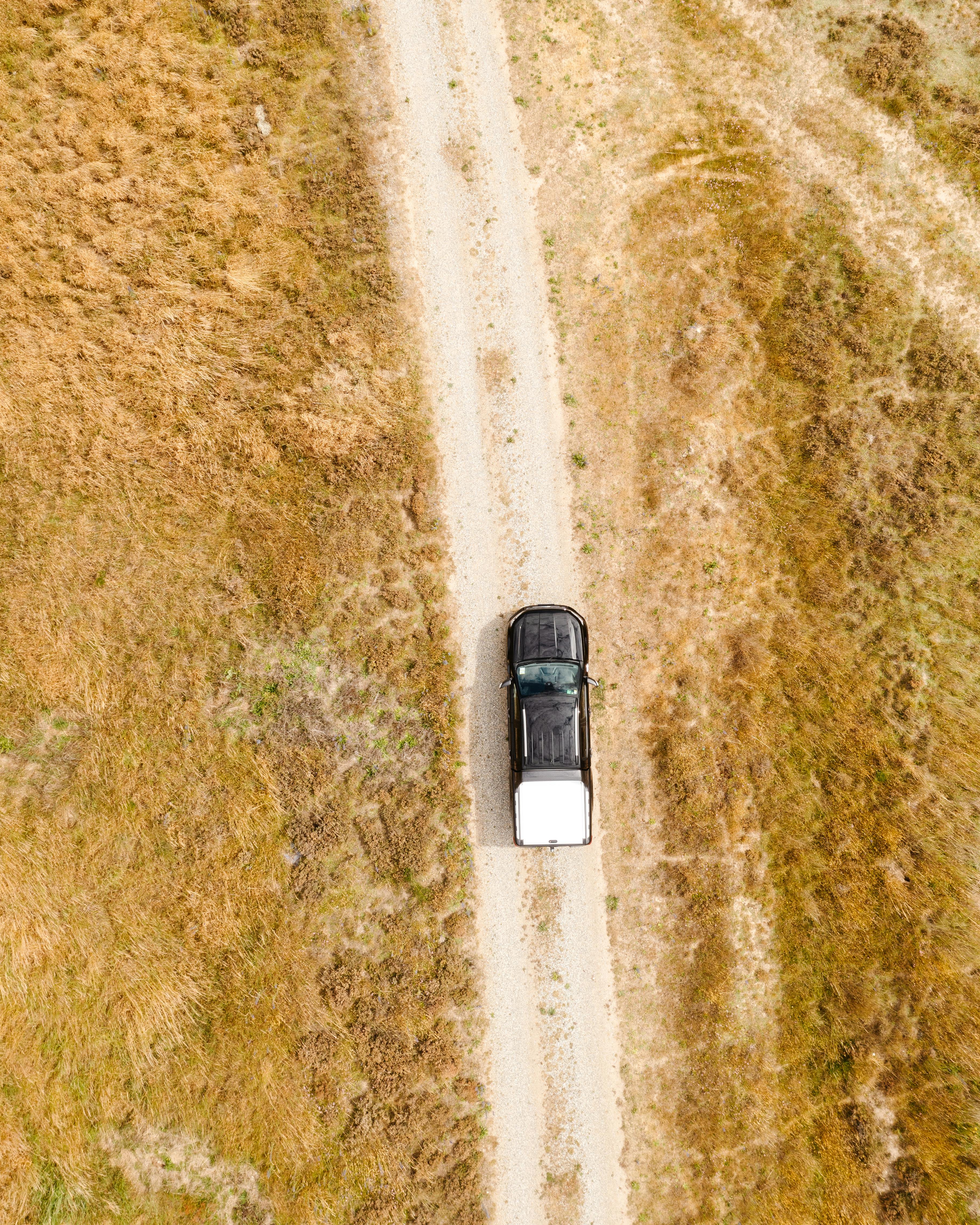 Drone Shot of a Car on a Road in a Forest · Free Stock Photo