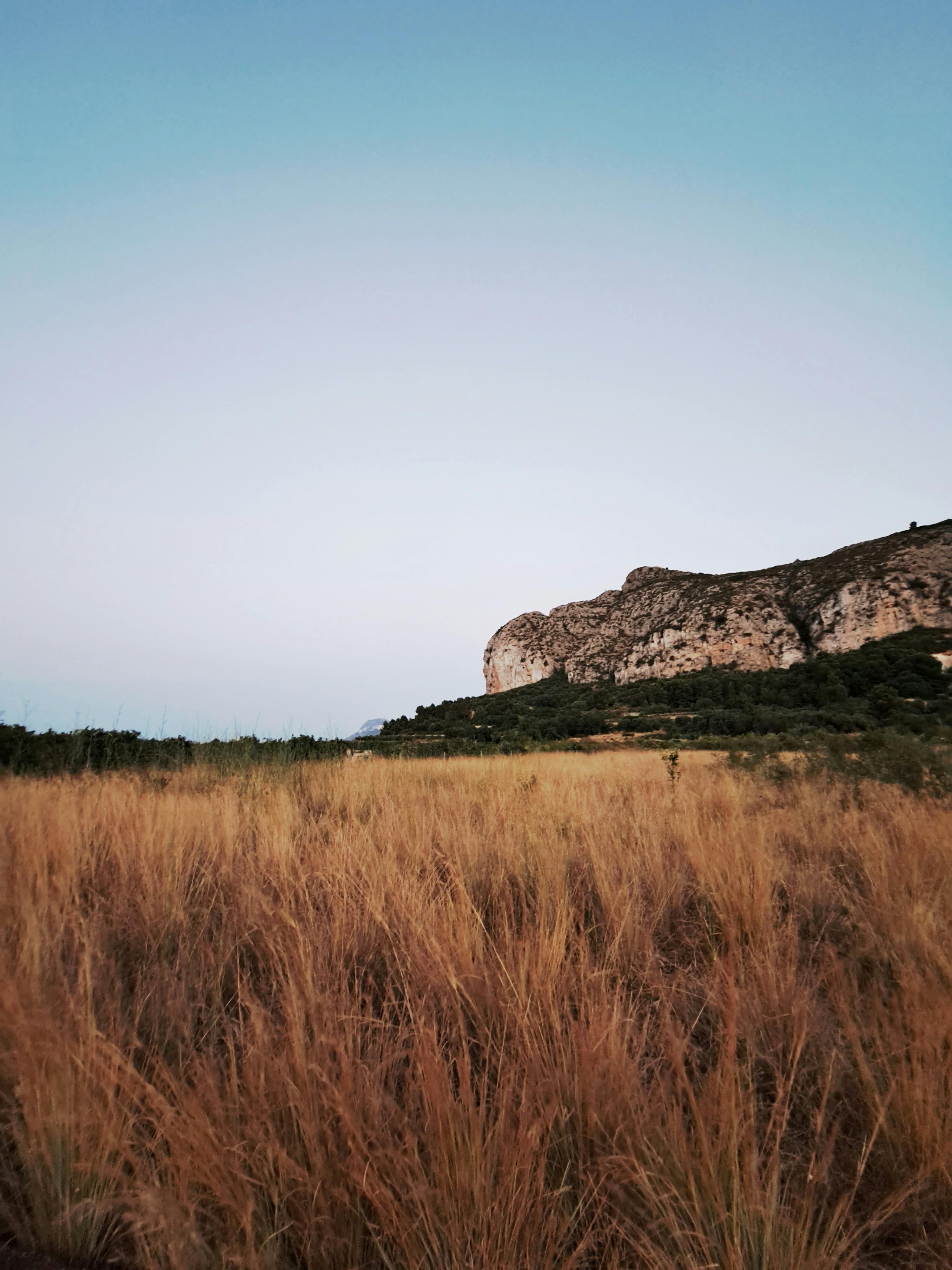 Adam Dubec - Photography