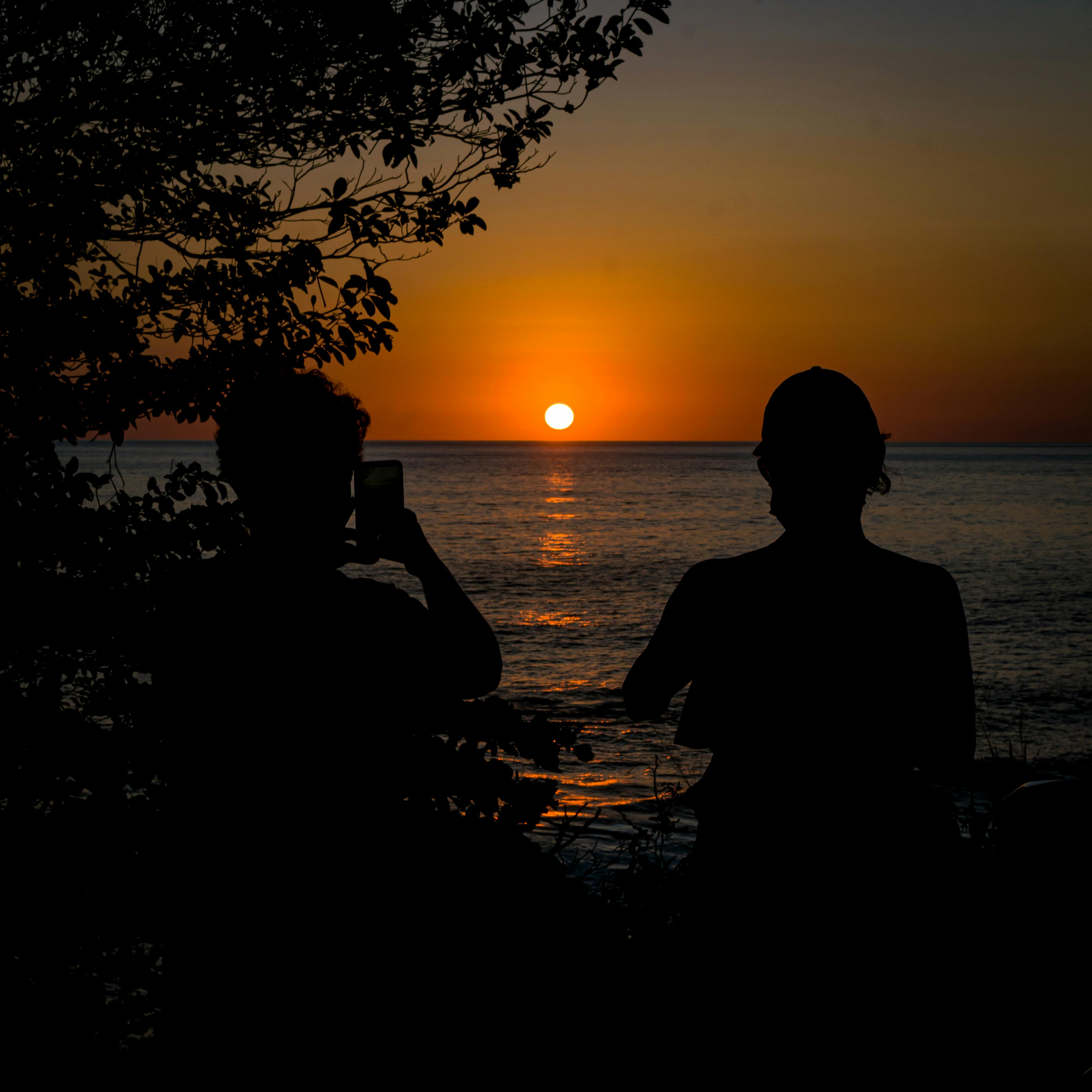 Couple Looking at Sunset over Sea · Free Stock Photo