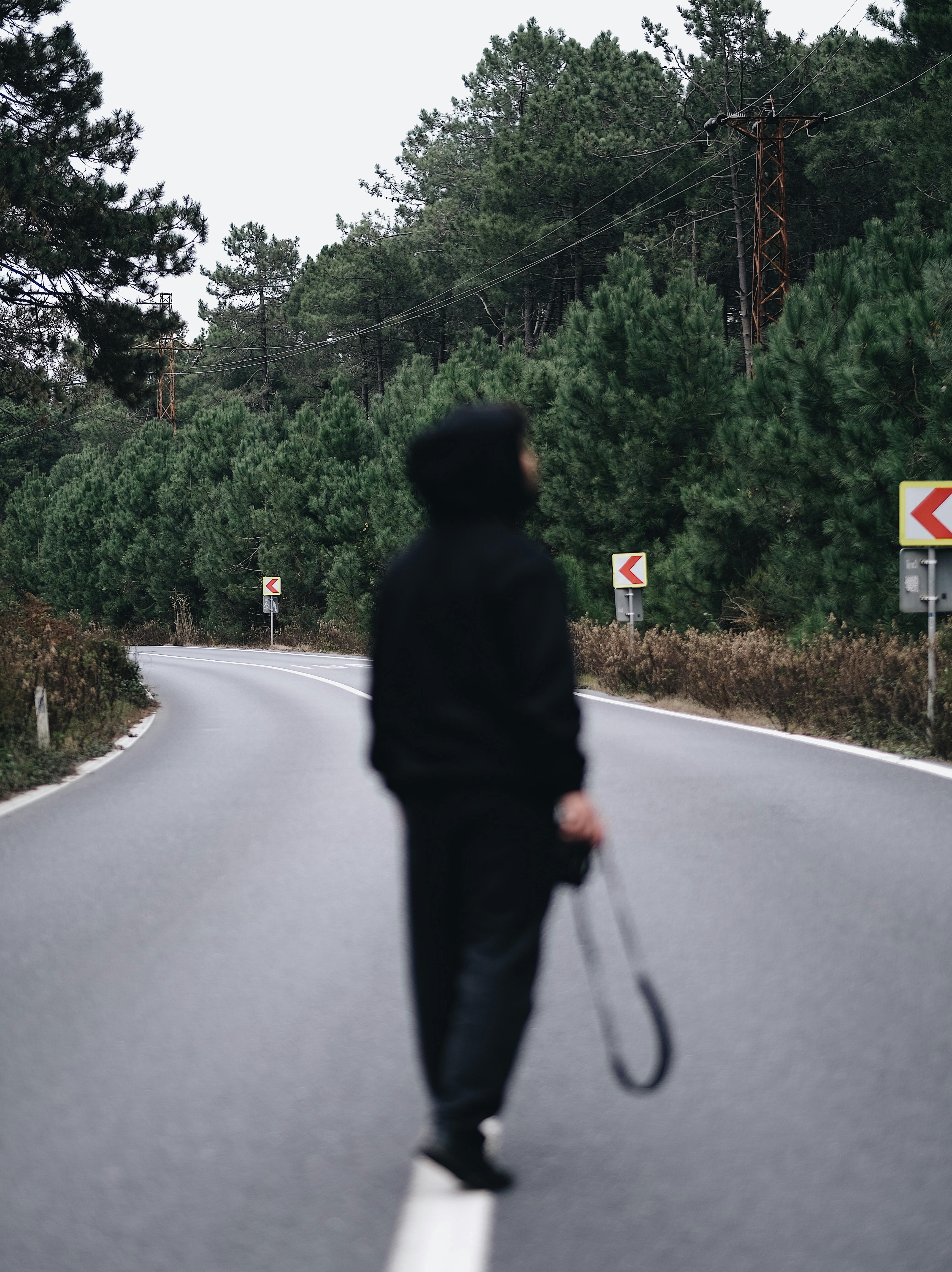 Person Walking on Road Near Trees · Free Stock Photo