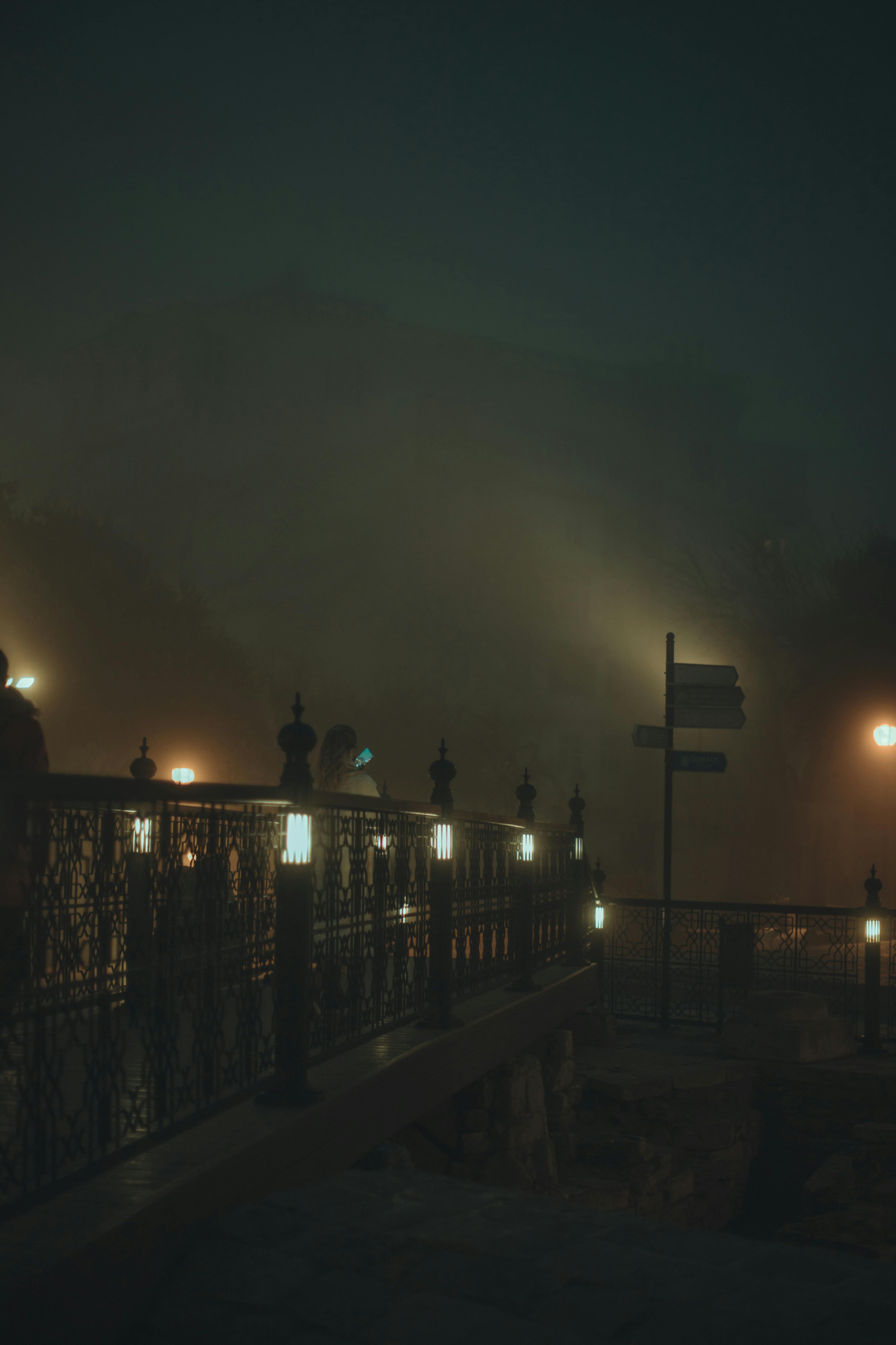 Black Tree at Night Time · Free Stock Photo