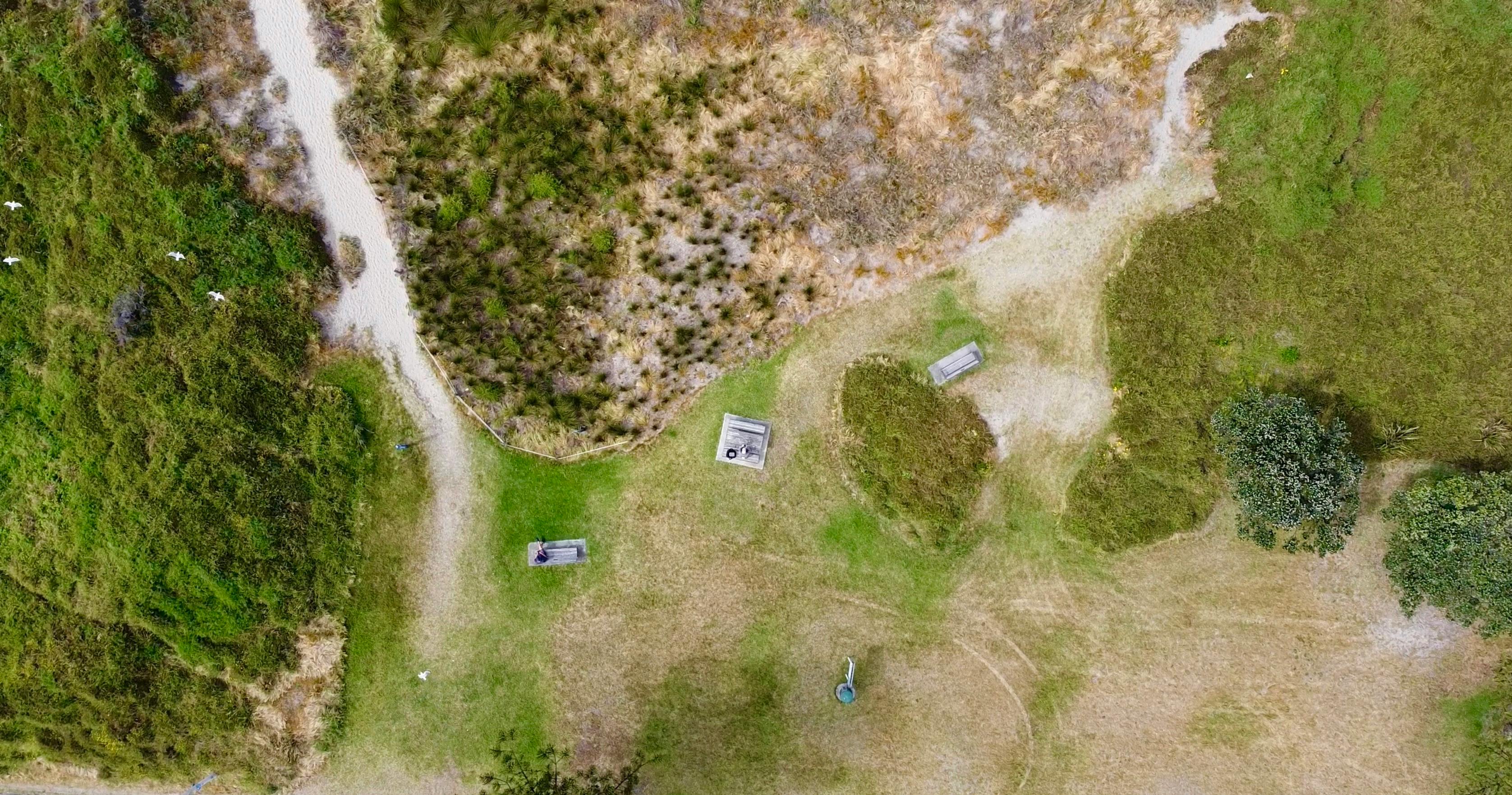Birds Eye View of Trees and Grass · Free Stock Photo