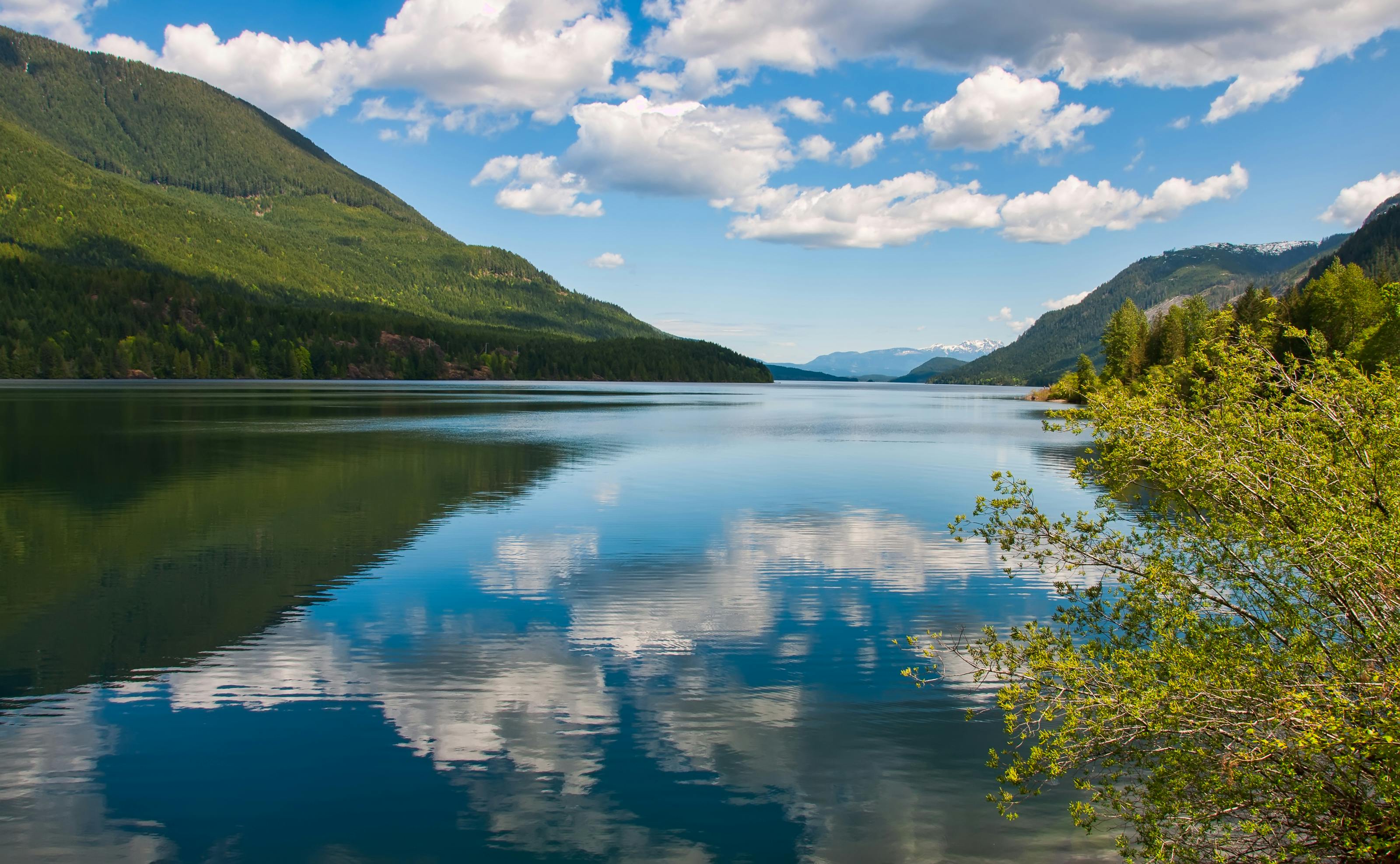 Free stock photo of background, bc, beautiful