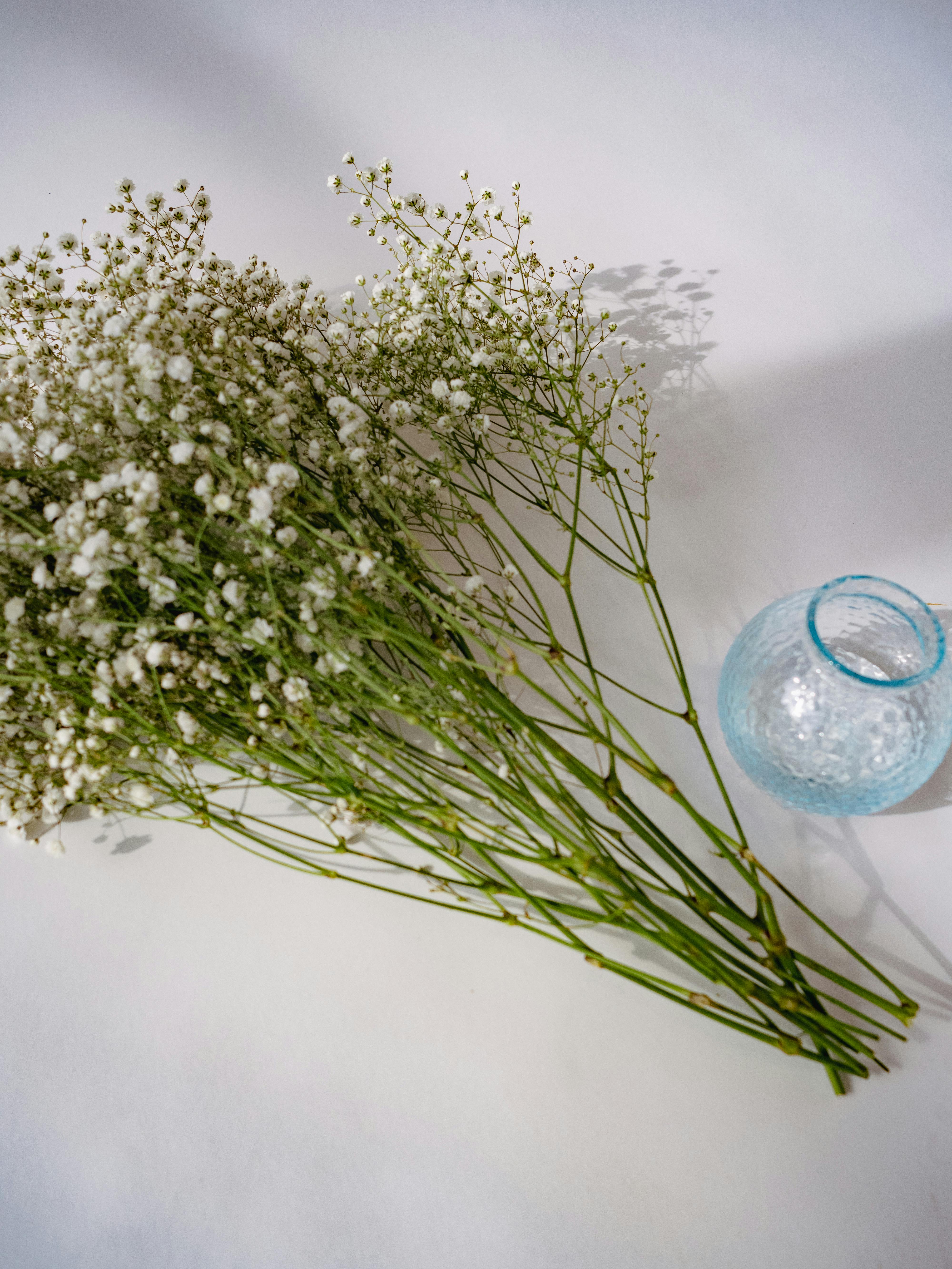 Close up of Thin Flowers · Free Stock Photo