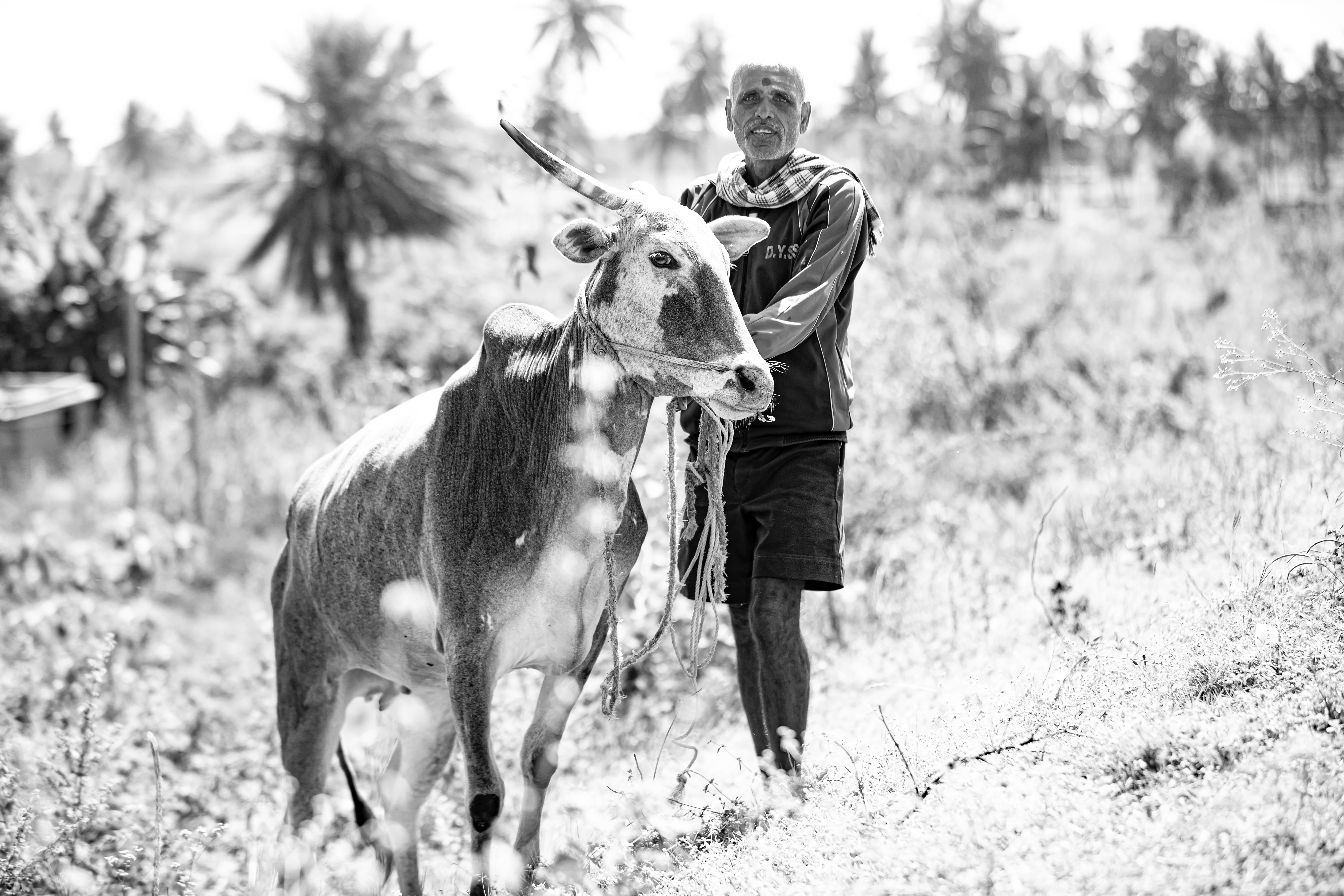 Man With Animal Photos, Download The BEST Free Man With Animal Stock ...