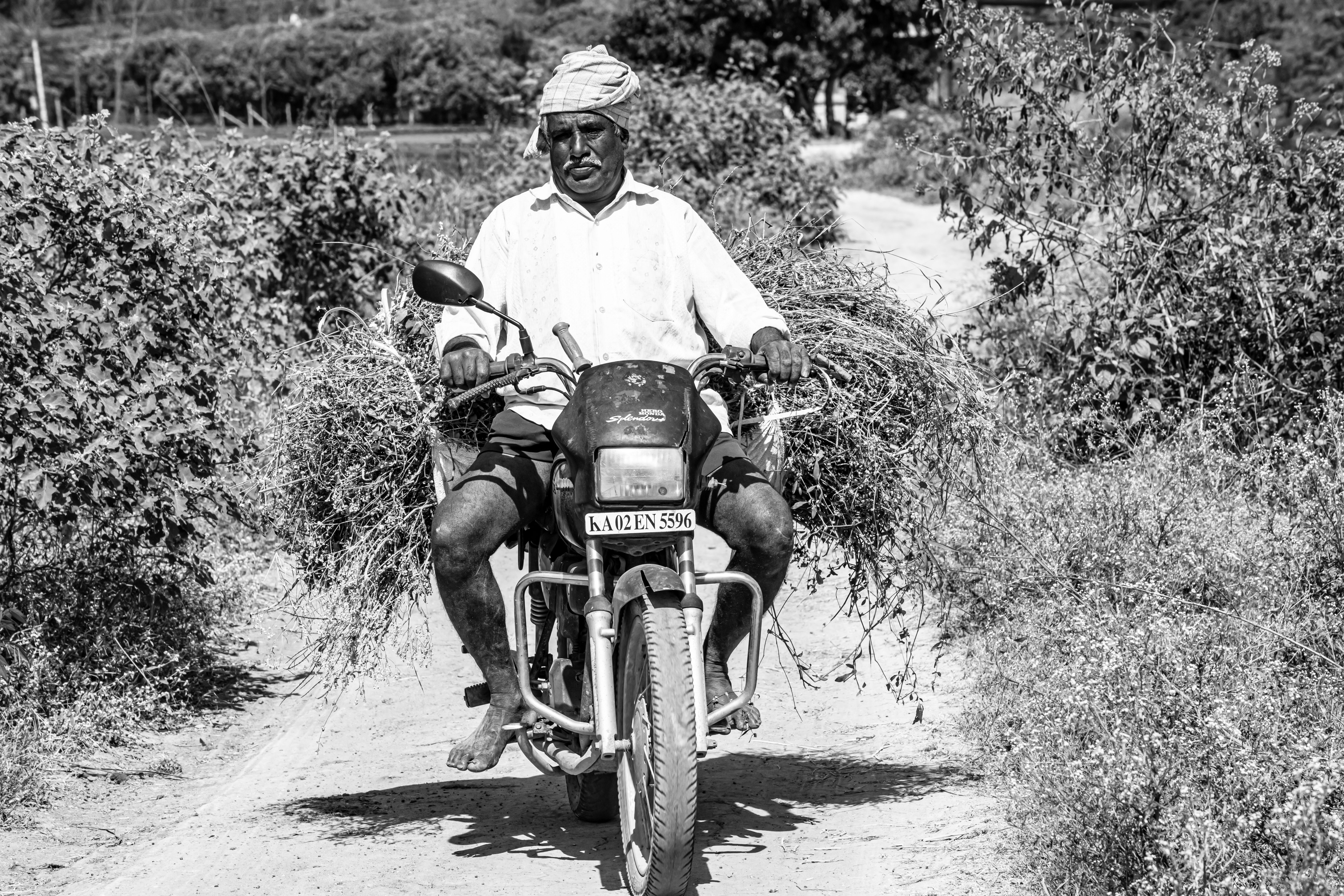 Man Carrying Hay on a Motorcycle · Free Stock Photo