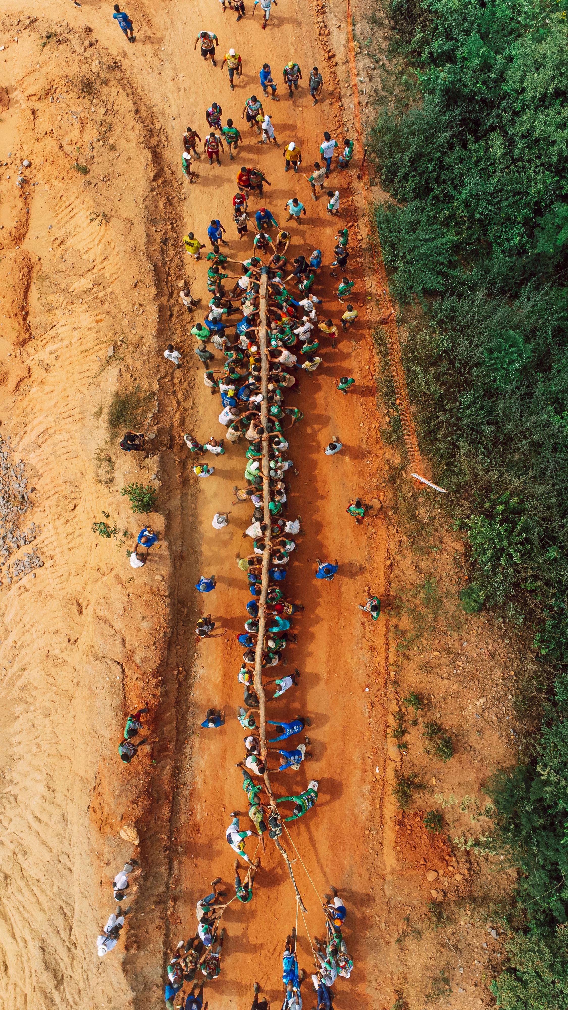 Aerial View of a Group of Men Carrying a Large Tree Log in the Forest ...