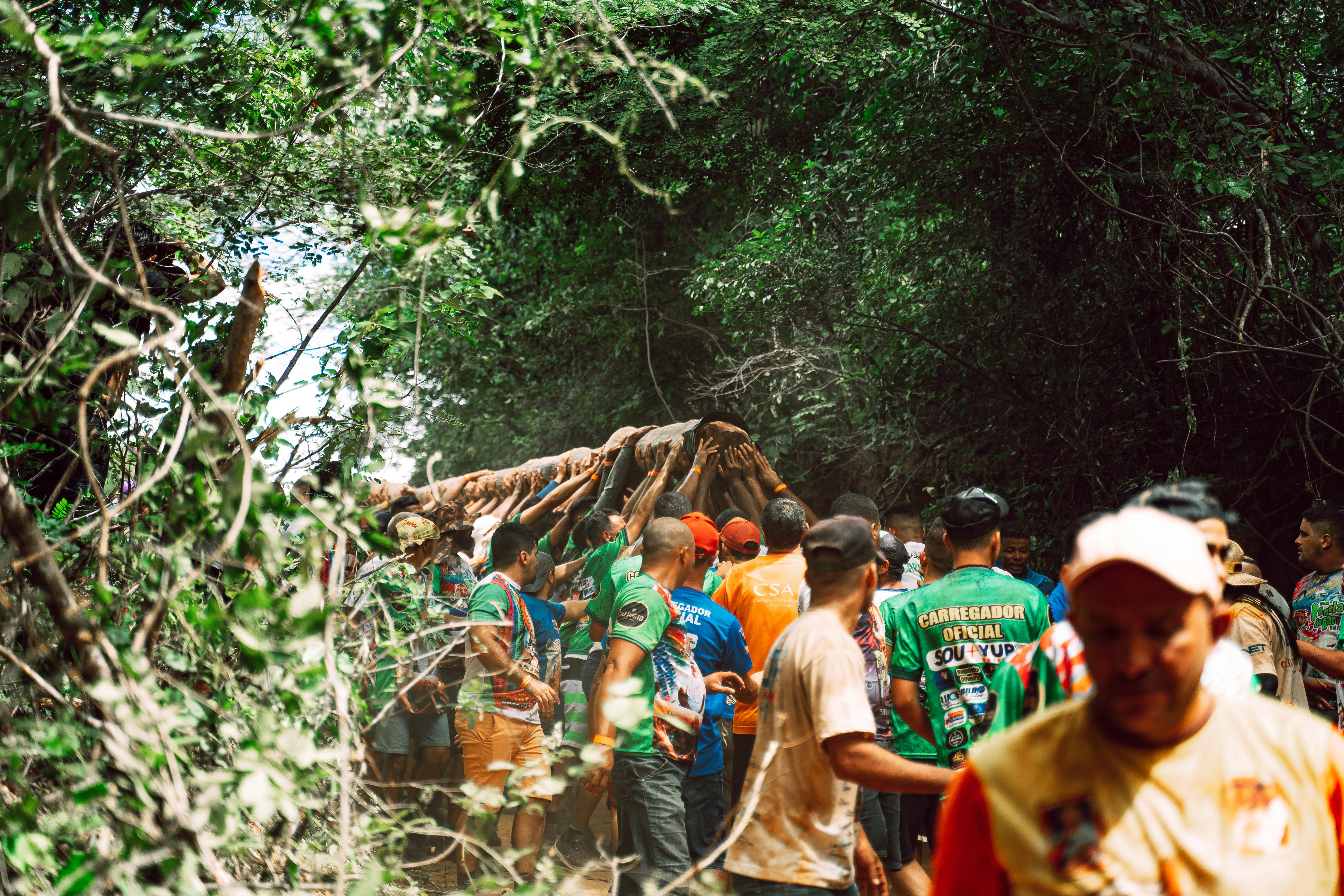 A Crowd Carrying a Tree Log in a Forest · Free Stock Photo