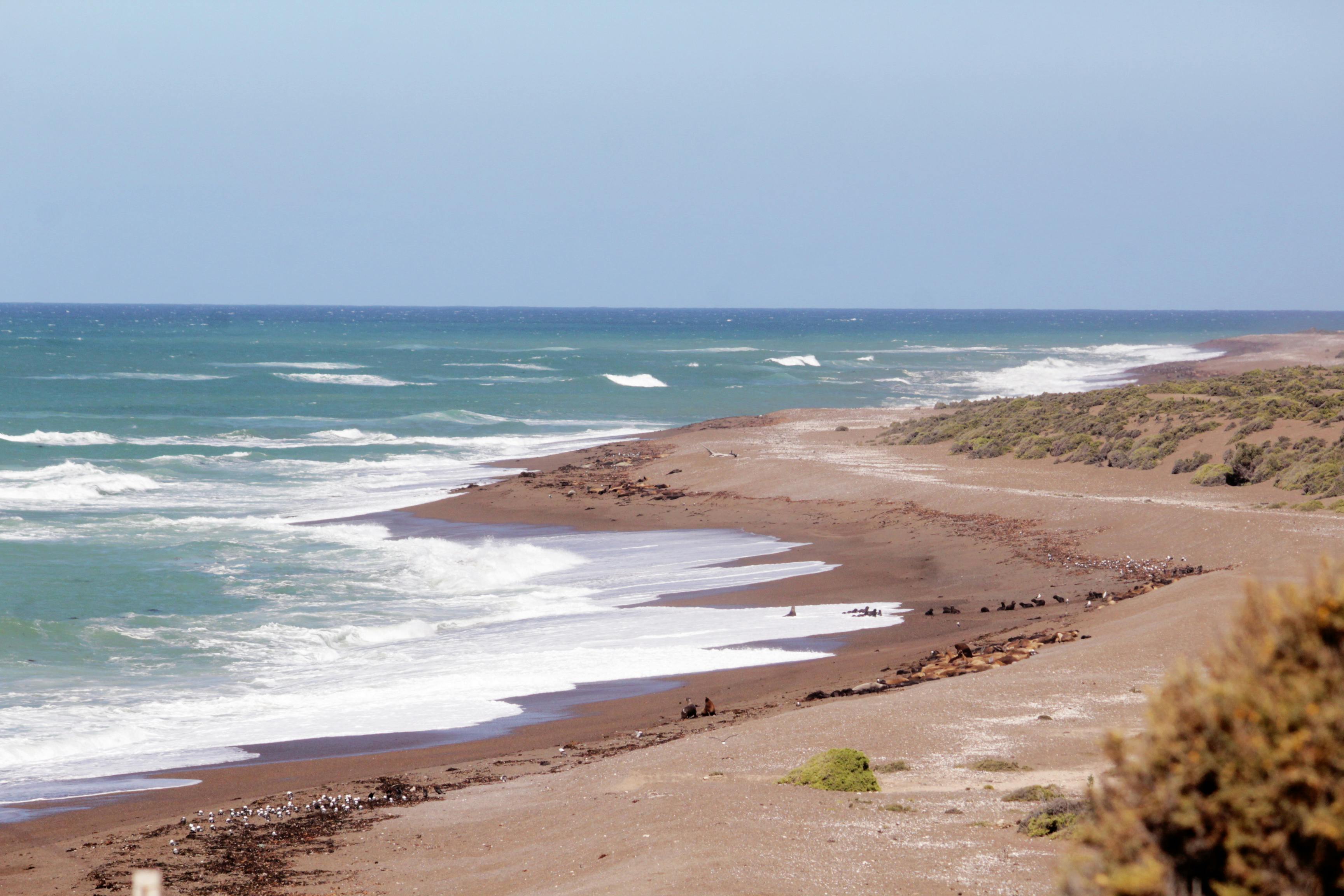 Sanchit Singh - Photography