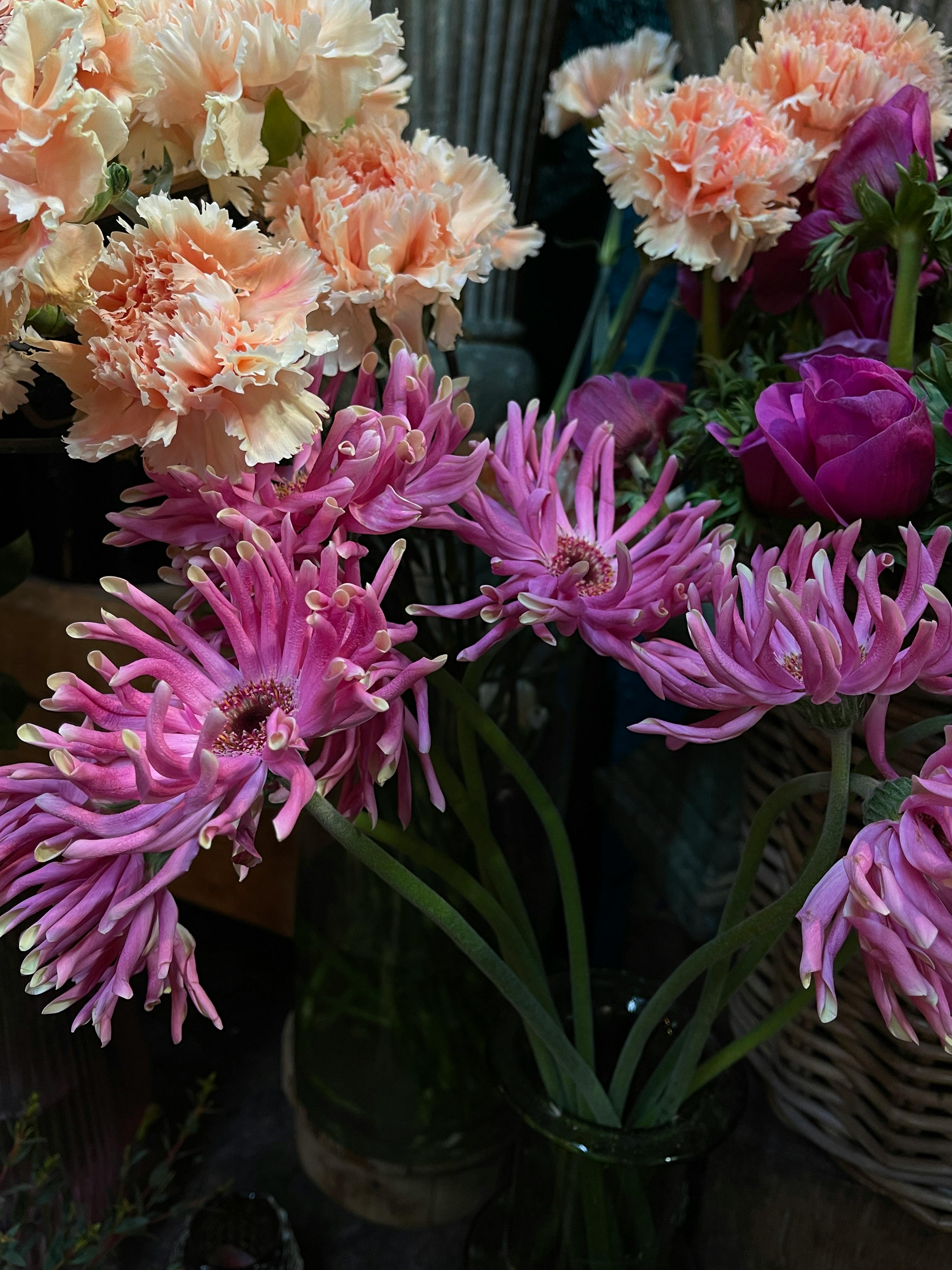 Lovely Bunch of Flowers · Free Stock Photo