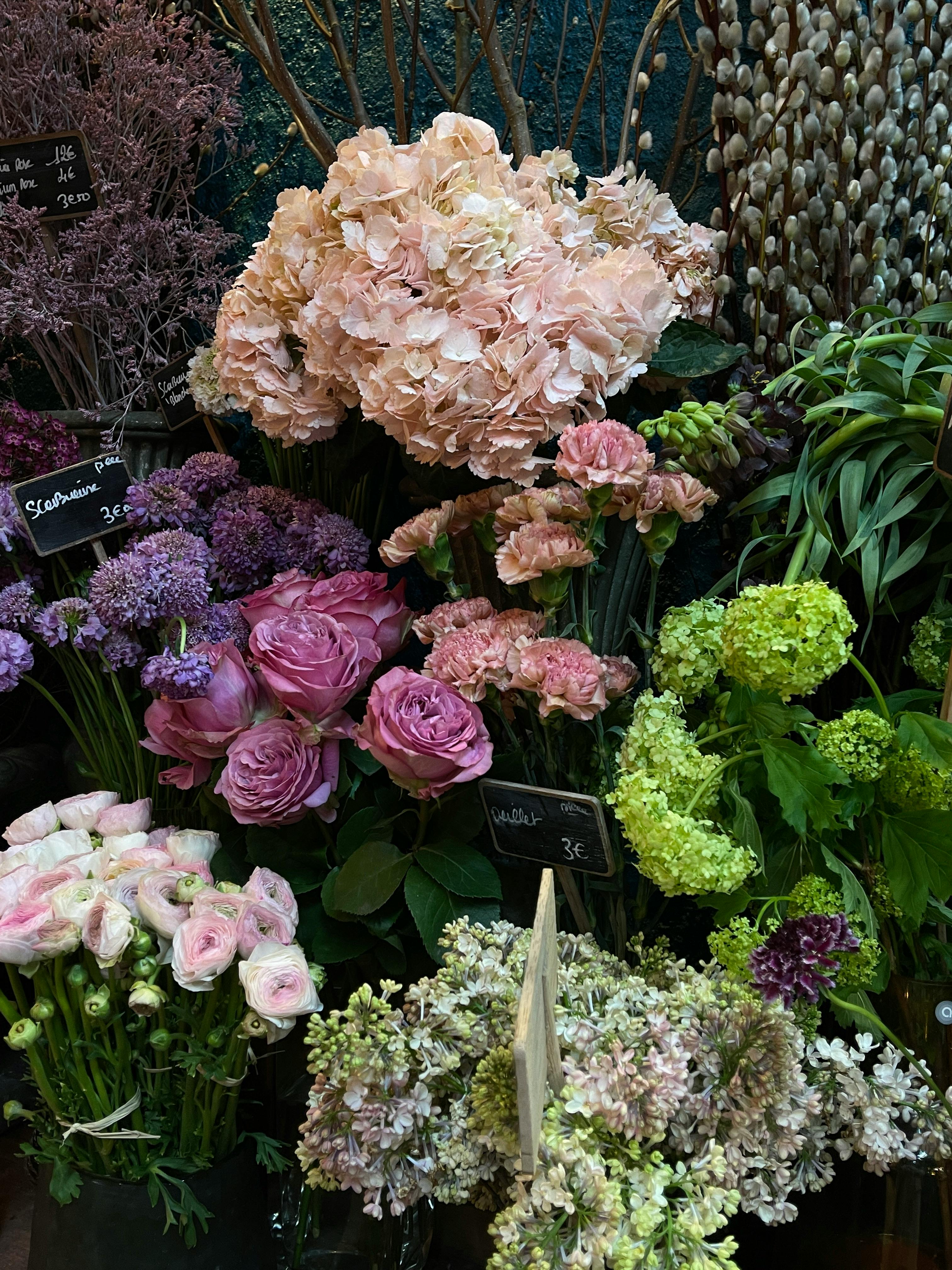 Close up of Flowers · Free Stock Photo