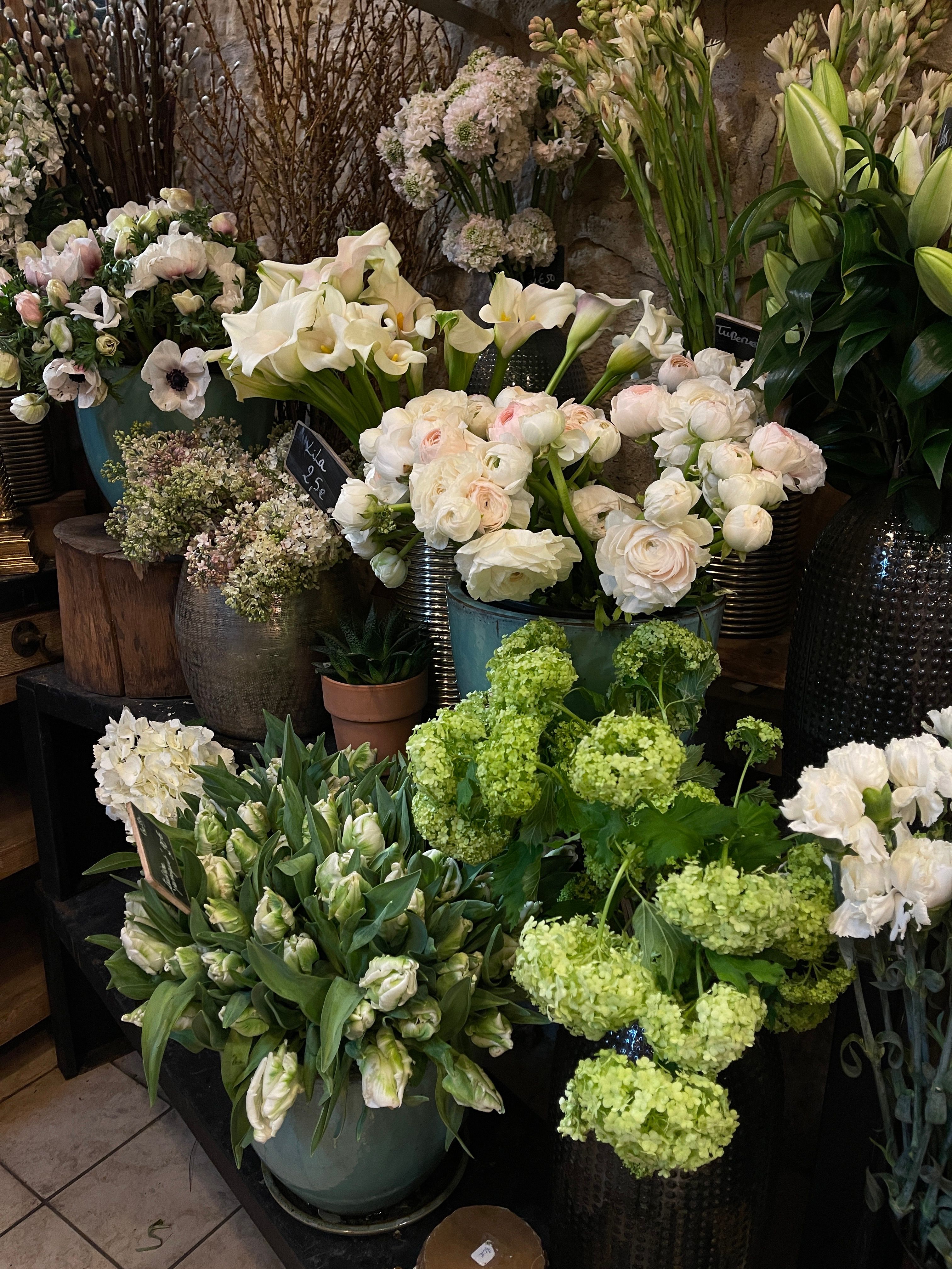 Abundance of Flowers · Free Stock Photo