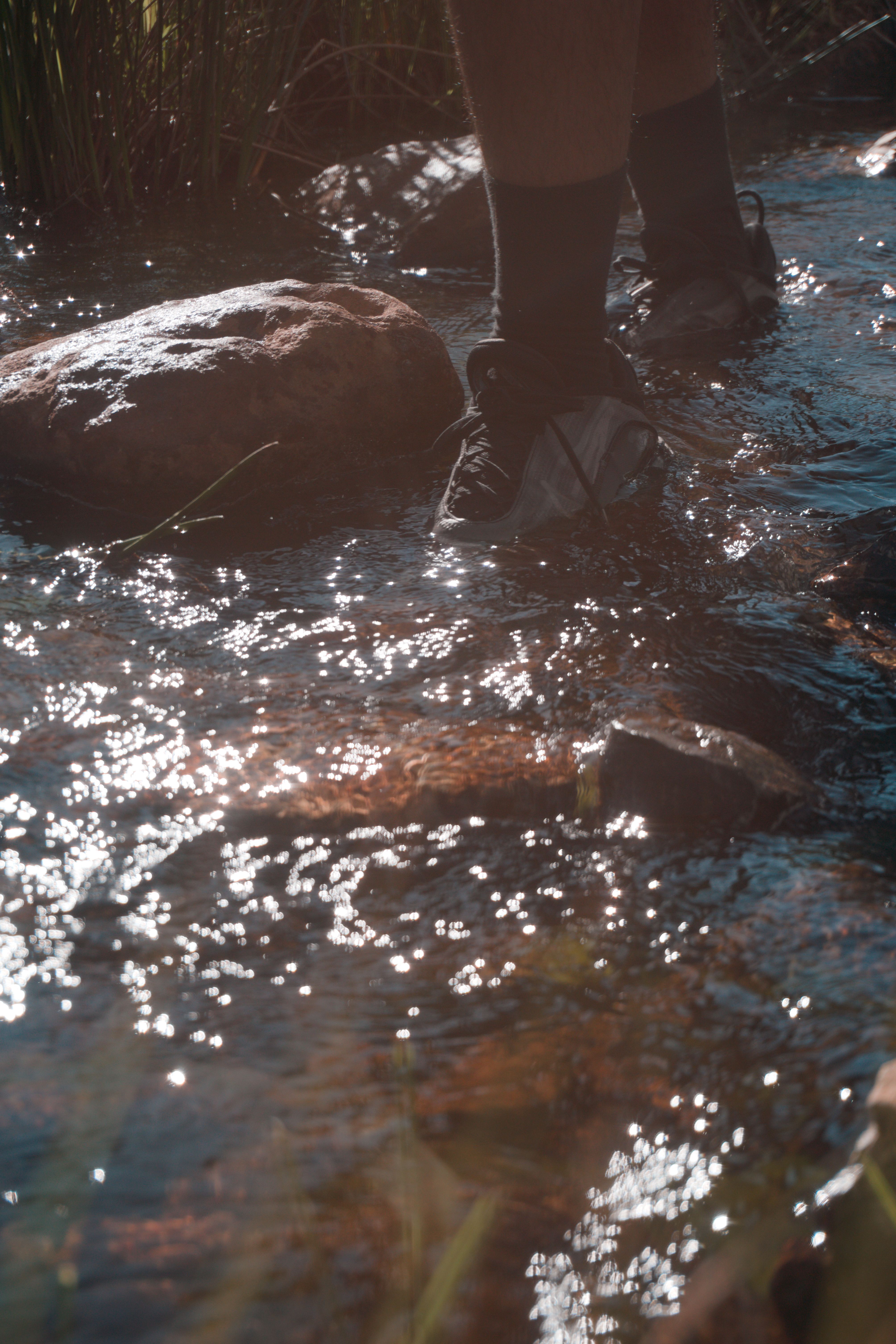 Man Walking in Stream · Free Stock Photo