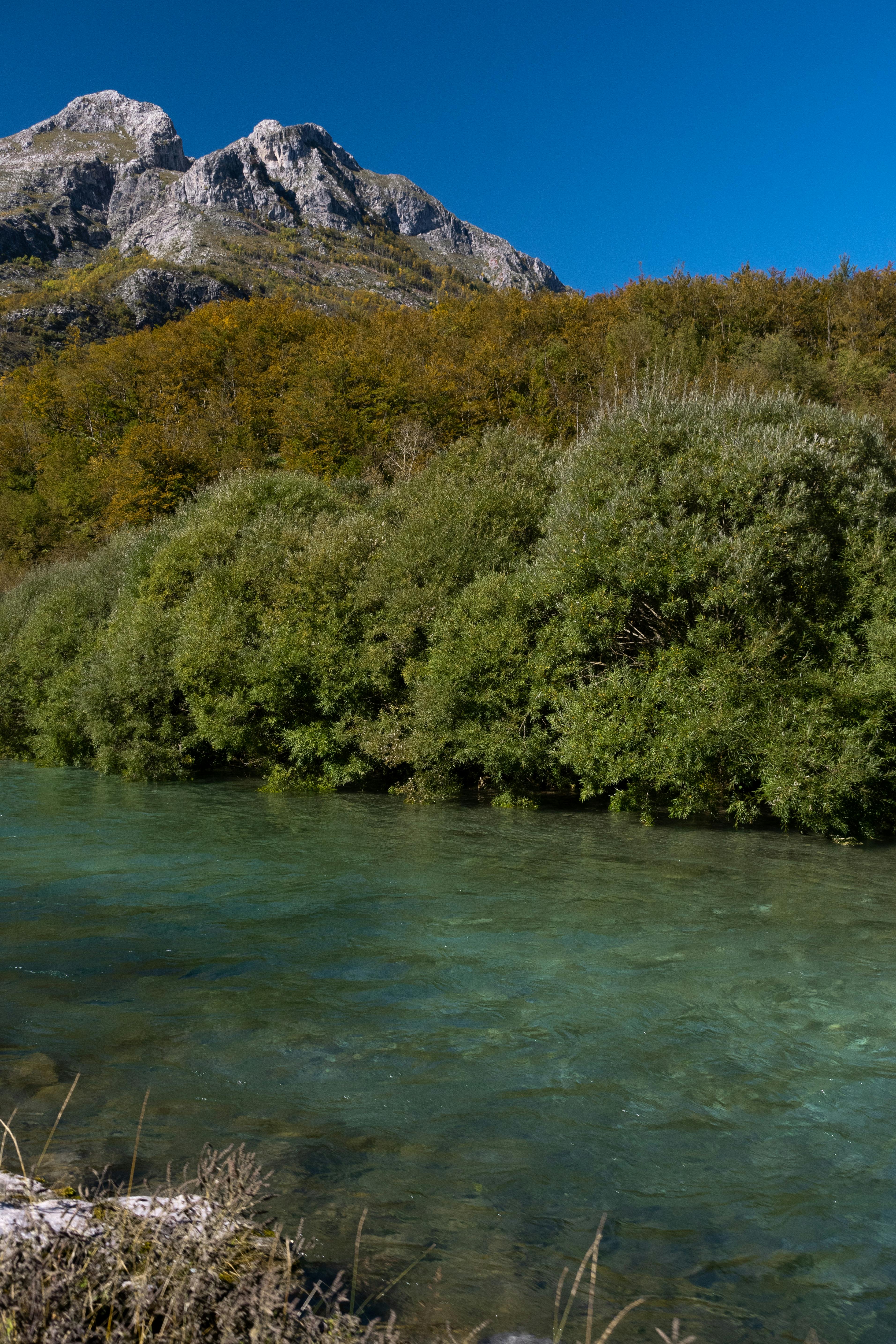 Summer Landscape with Stream · Free Stock Photo