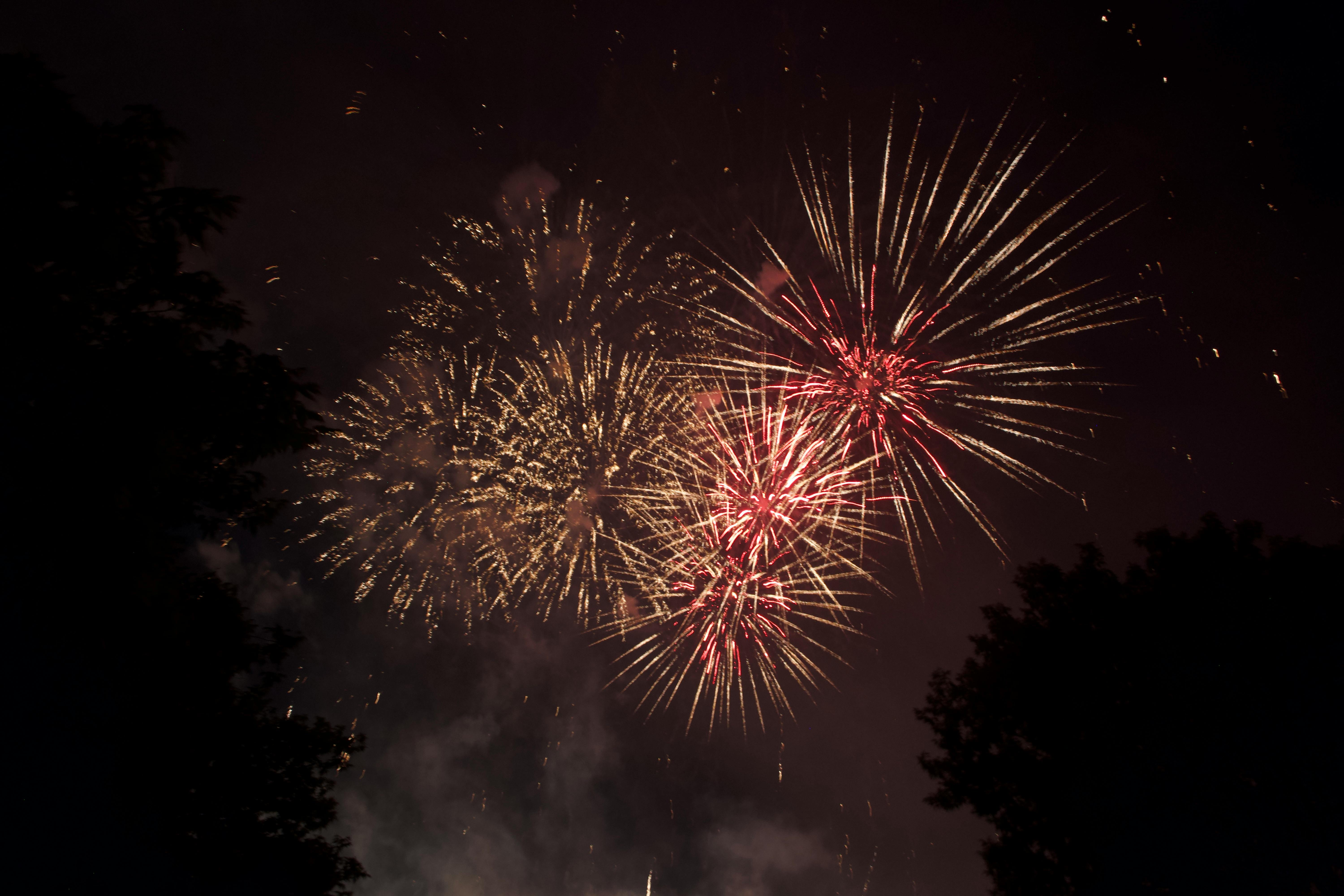 Fireworks at Night · Free Stock Photo