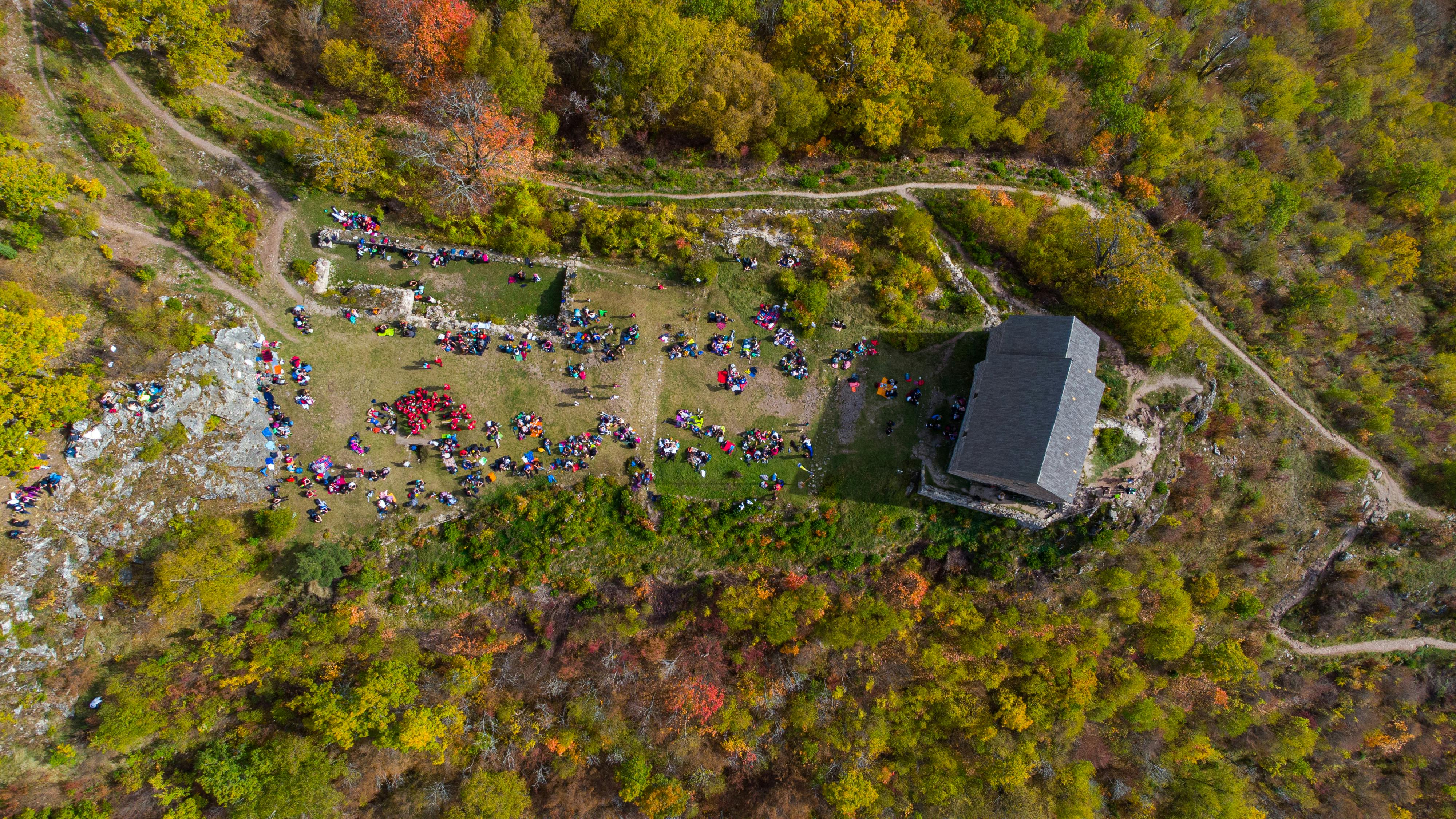 Crowd in Front of a Hut in a Forest · Free Stock Photo