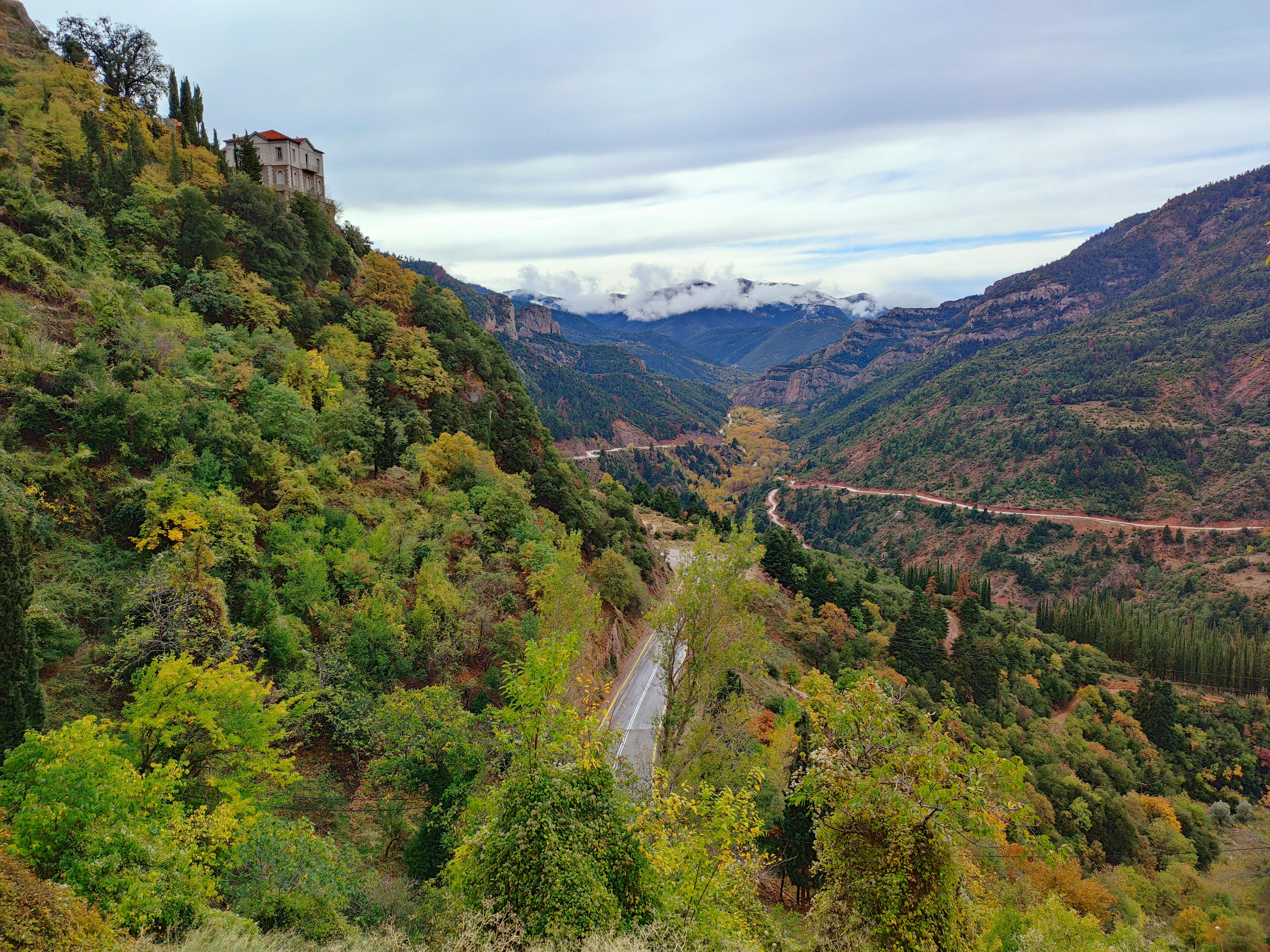 Wide Angle View of a Mountain Valley with Trees · Free Stock Photo