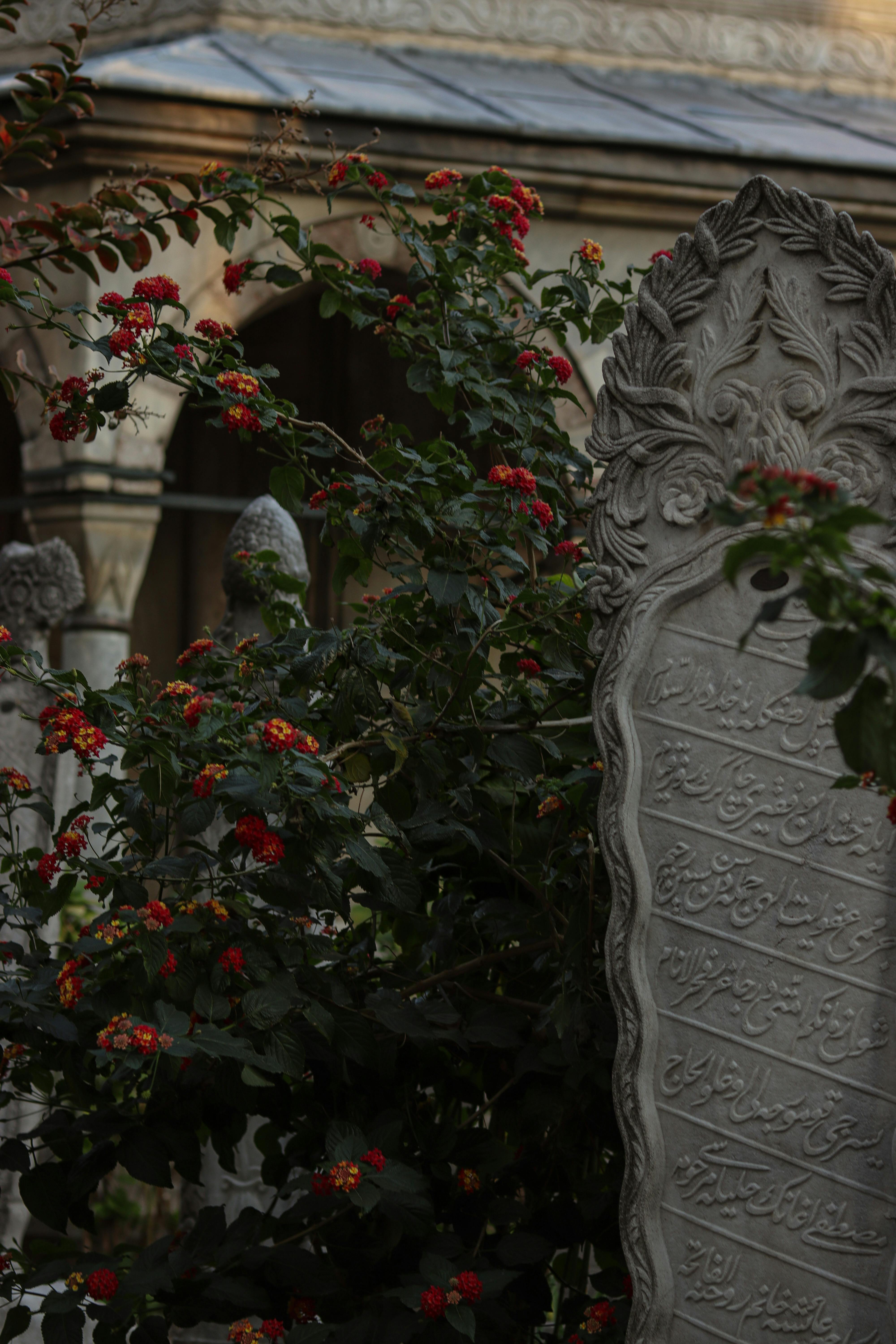 Groft Graves Photos, Download The BEST Free Groft Graves Stock Photos ...