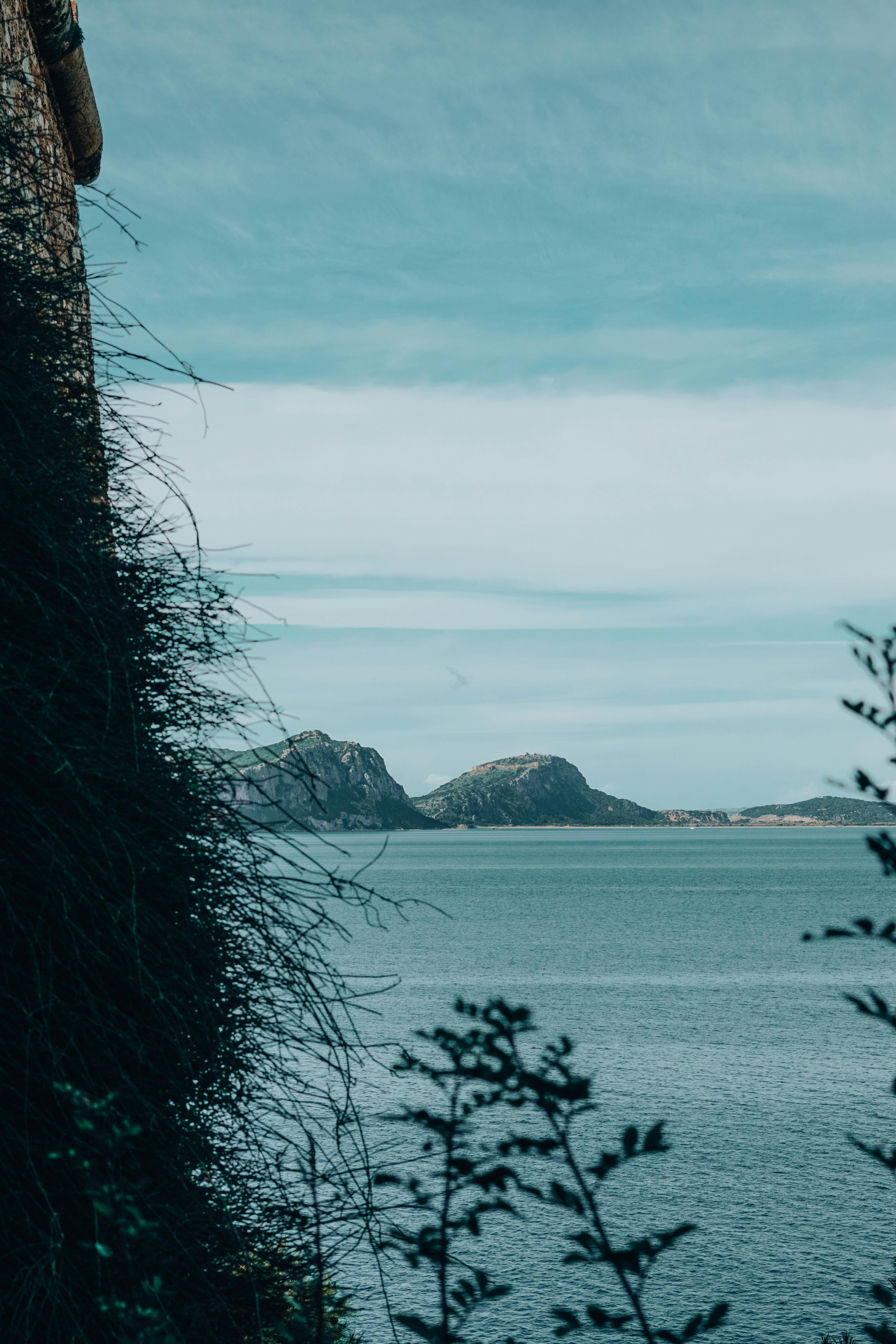 Canaray Islands Photos, Download The BEST Free Canaray Islands Stock ...