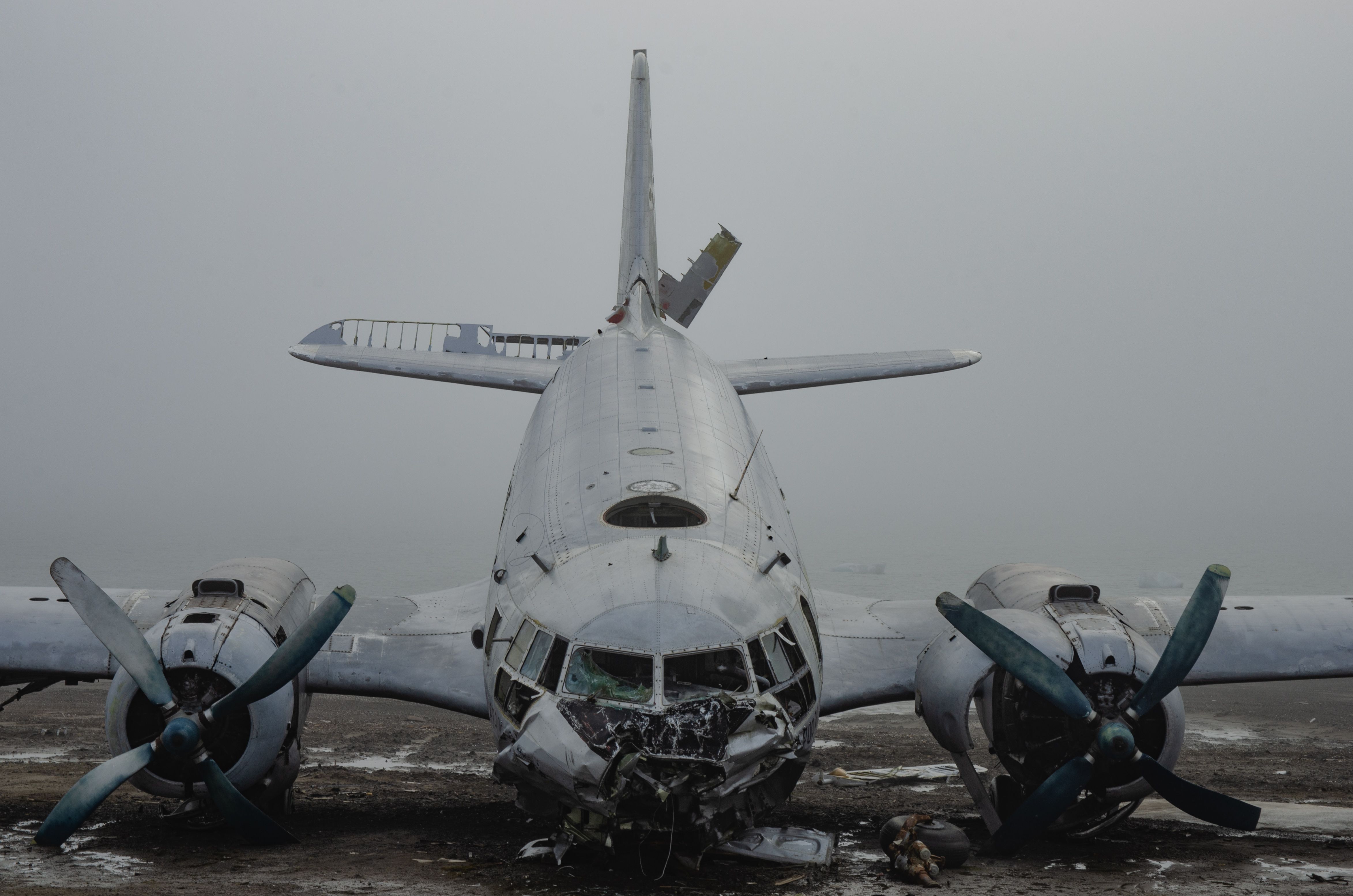 Gray Airplane on Seashore · Free Stock Photo