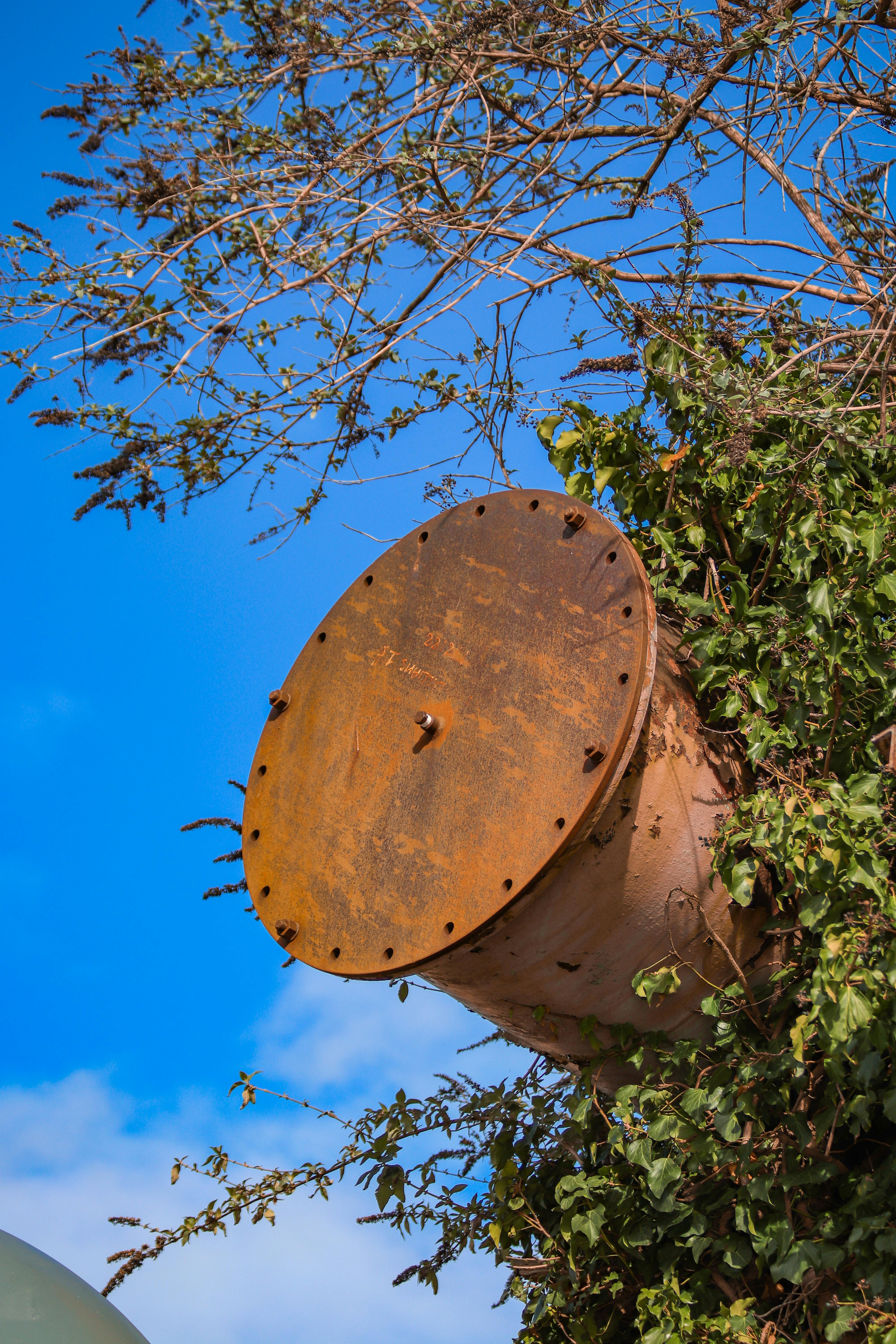 Old Rusty Metal Column Overgrown with Shrubs · Free Stock Photo