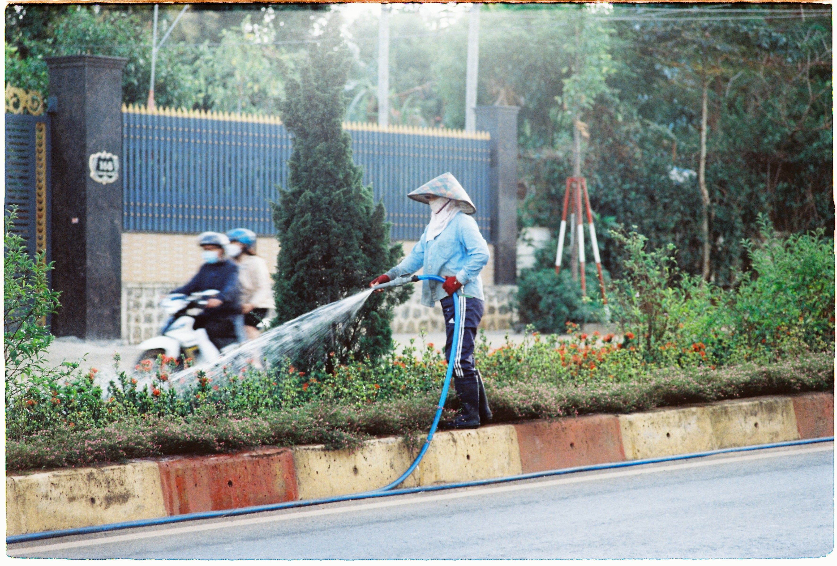 Worker Watering Plants by Roadside · Free Stock Photo