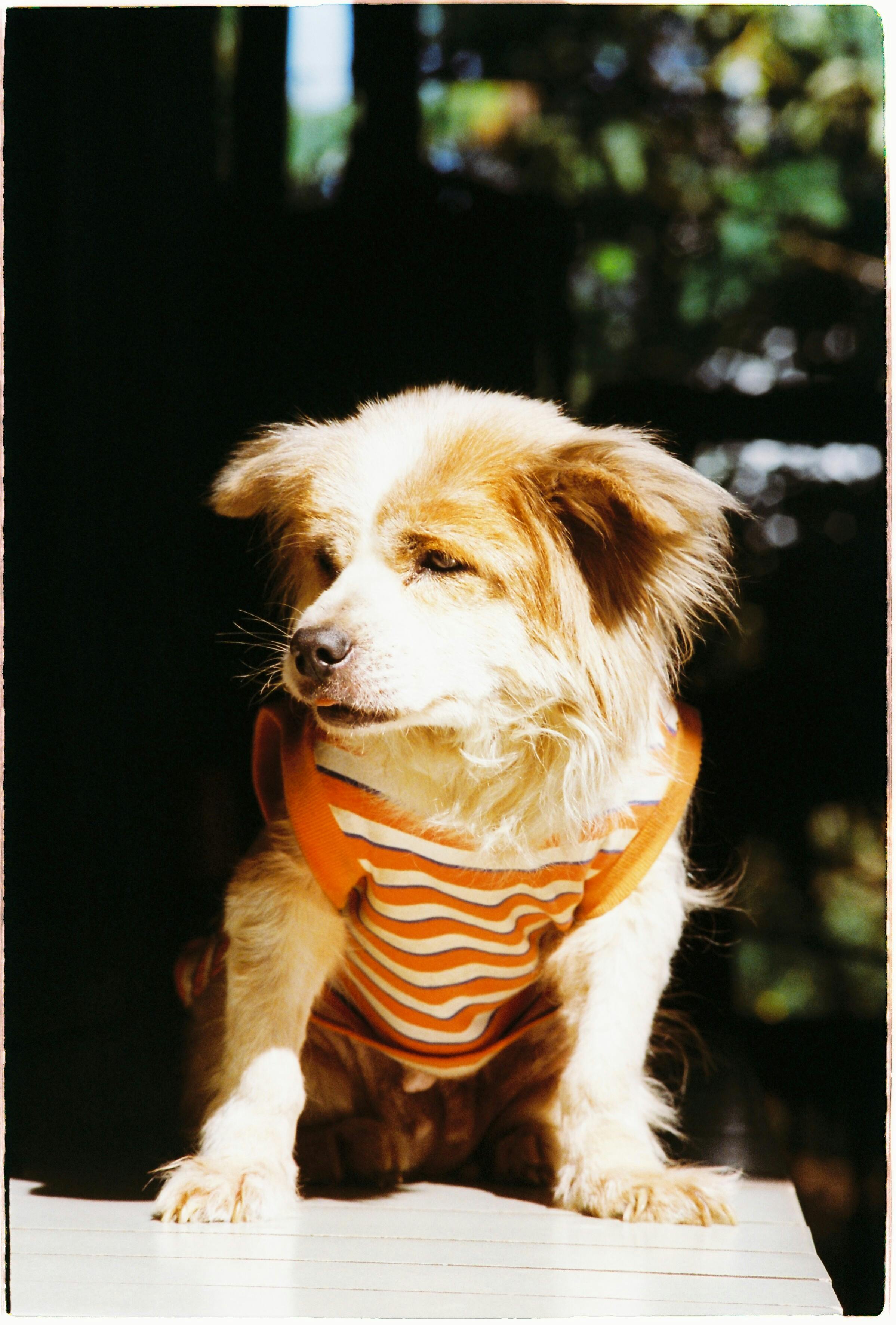 Pleiku Gia Lai Photos, Download The BEST Free Pleiku Gia Lai Stock ...