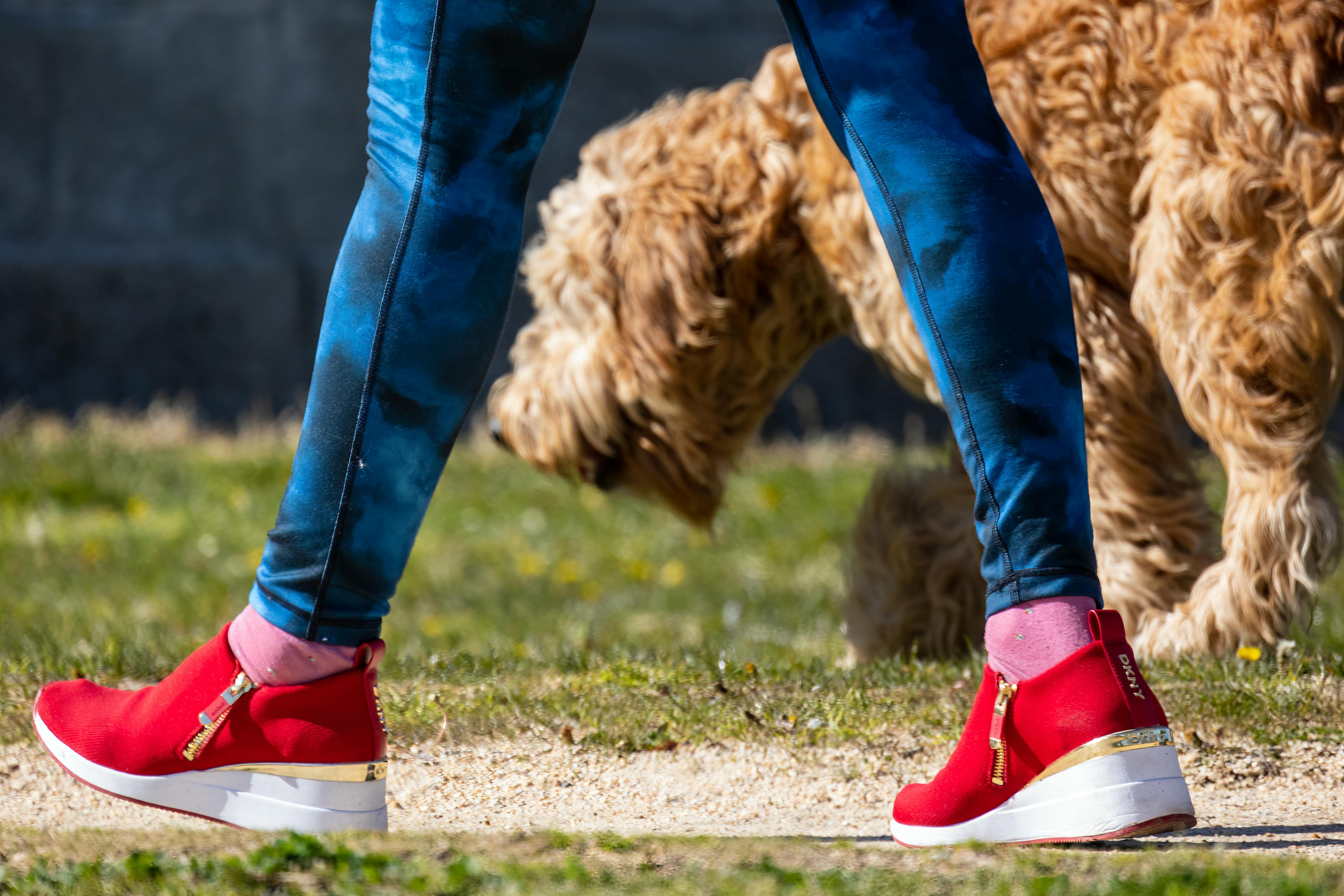 Nikki Haley Legs Photos, Download The BEST Free Nikki Haley Legs Stock ...