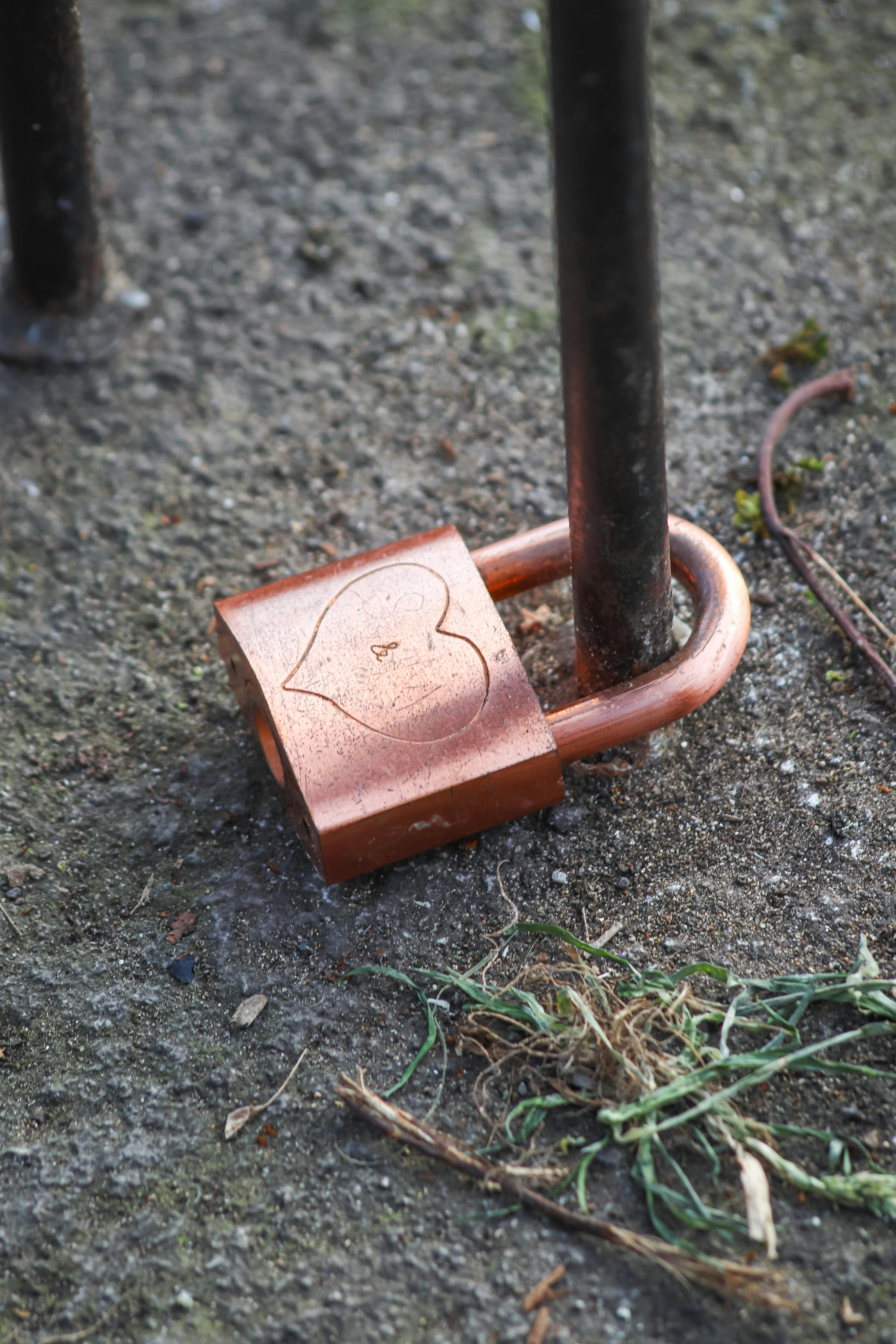 Blank Padlock of Lovers Fastened to the Railing · Free Stock Photo