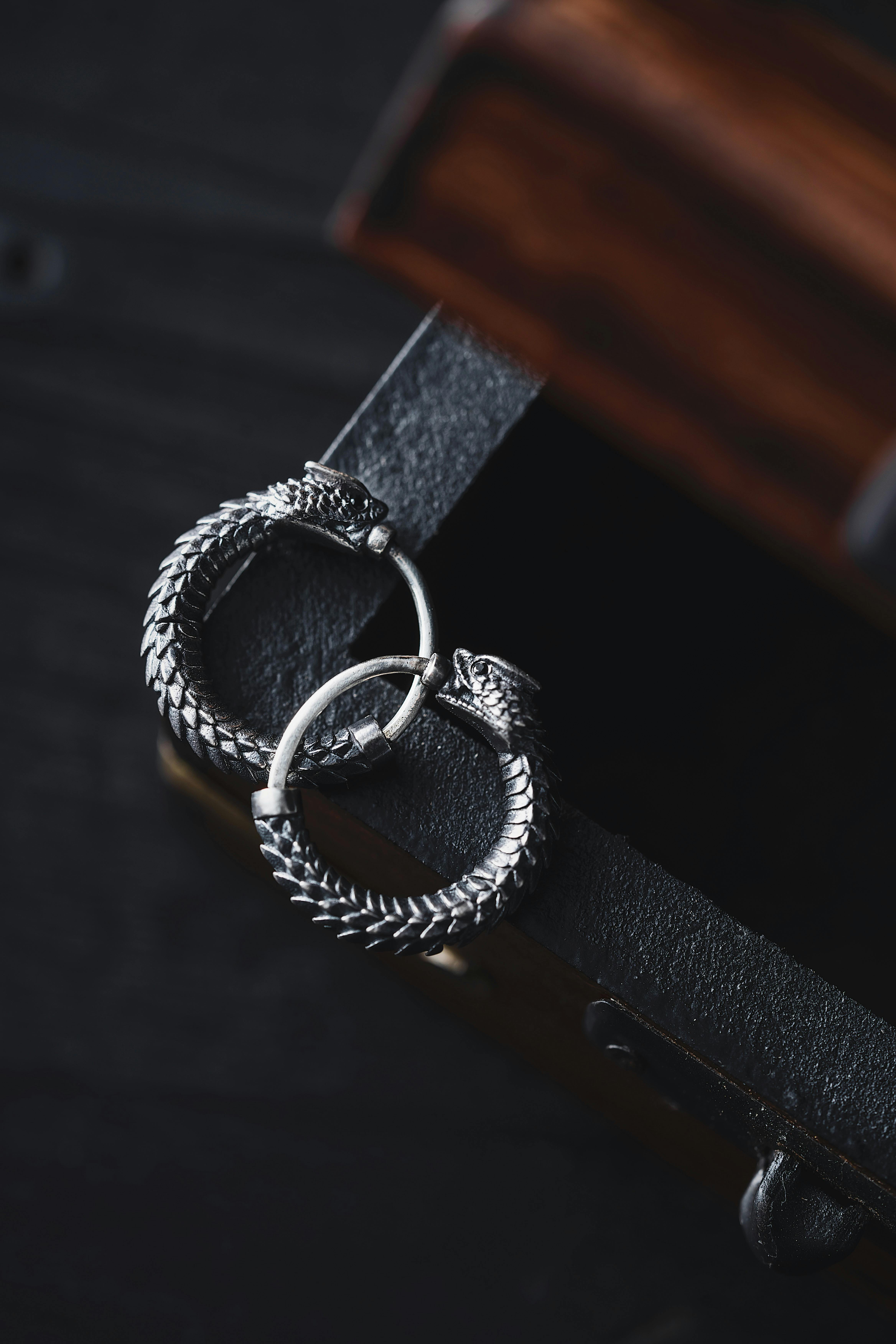 Silver Ouroboros Earrings · Free Stock Photo