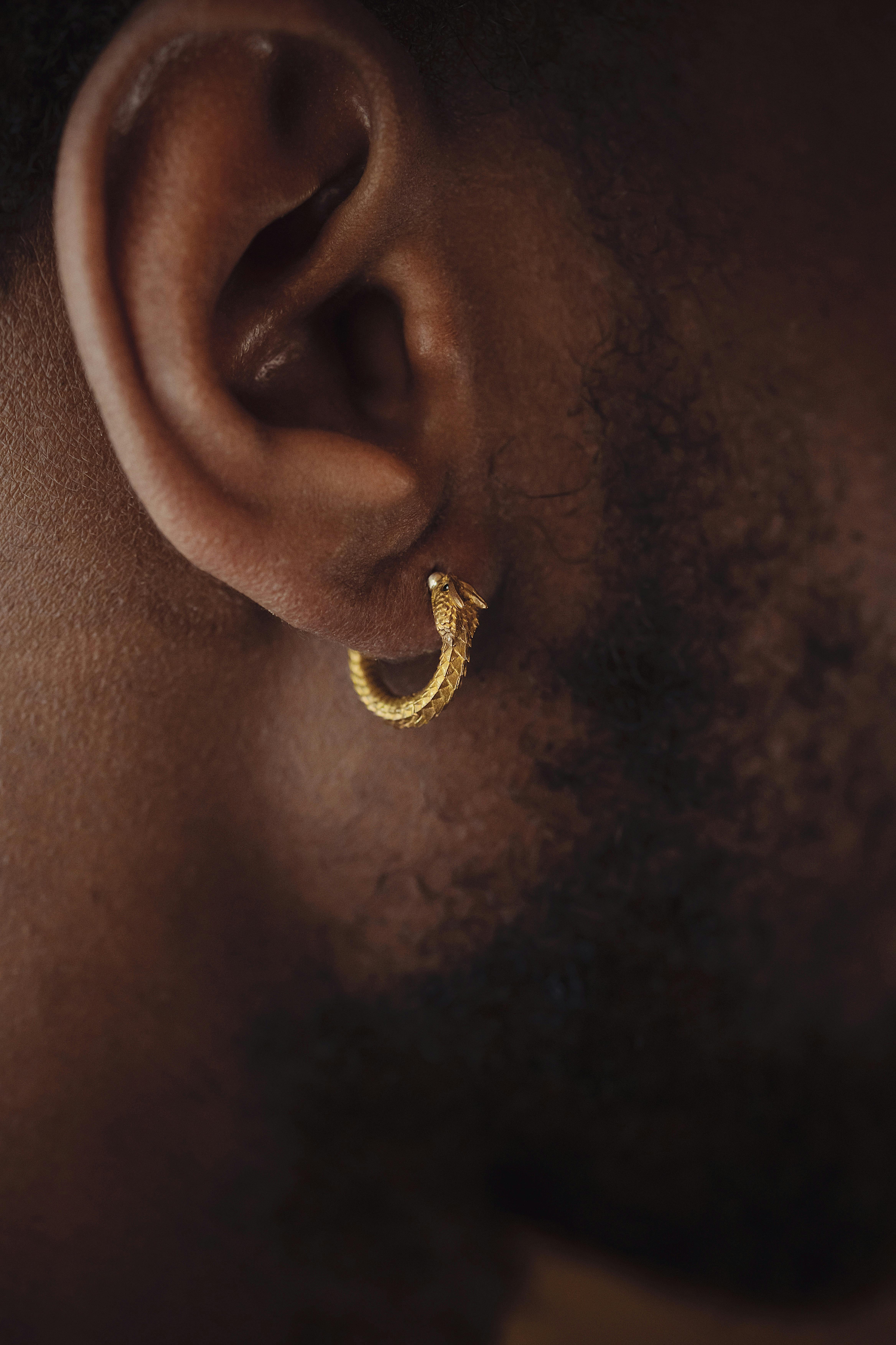 Golden Serpent Earring in Ear of Man · Free Stock Photo