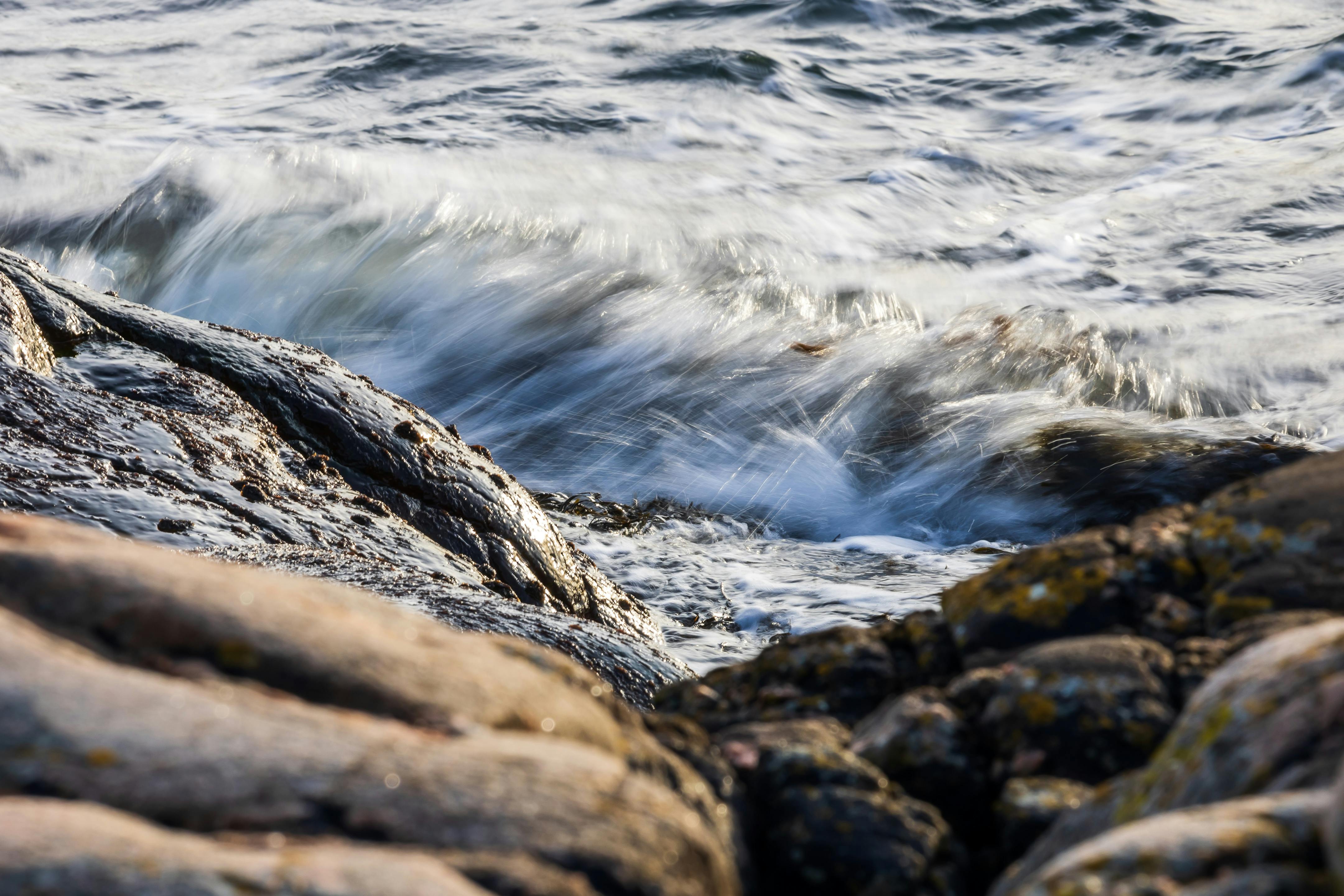 Ulle Haddock - Photography