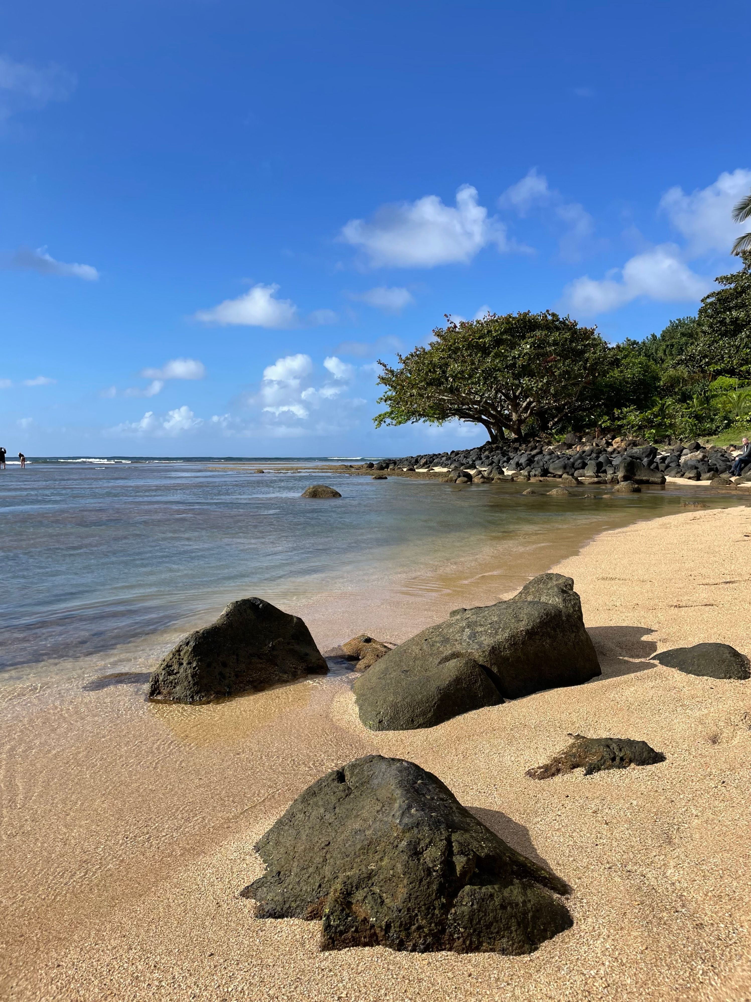 Beach in Summer · Free Stock Photo