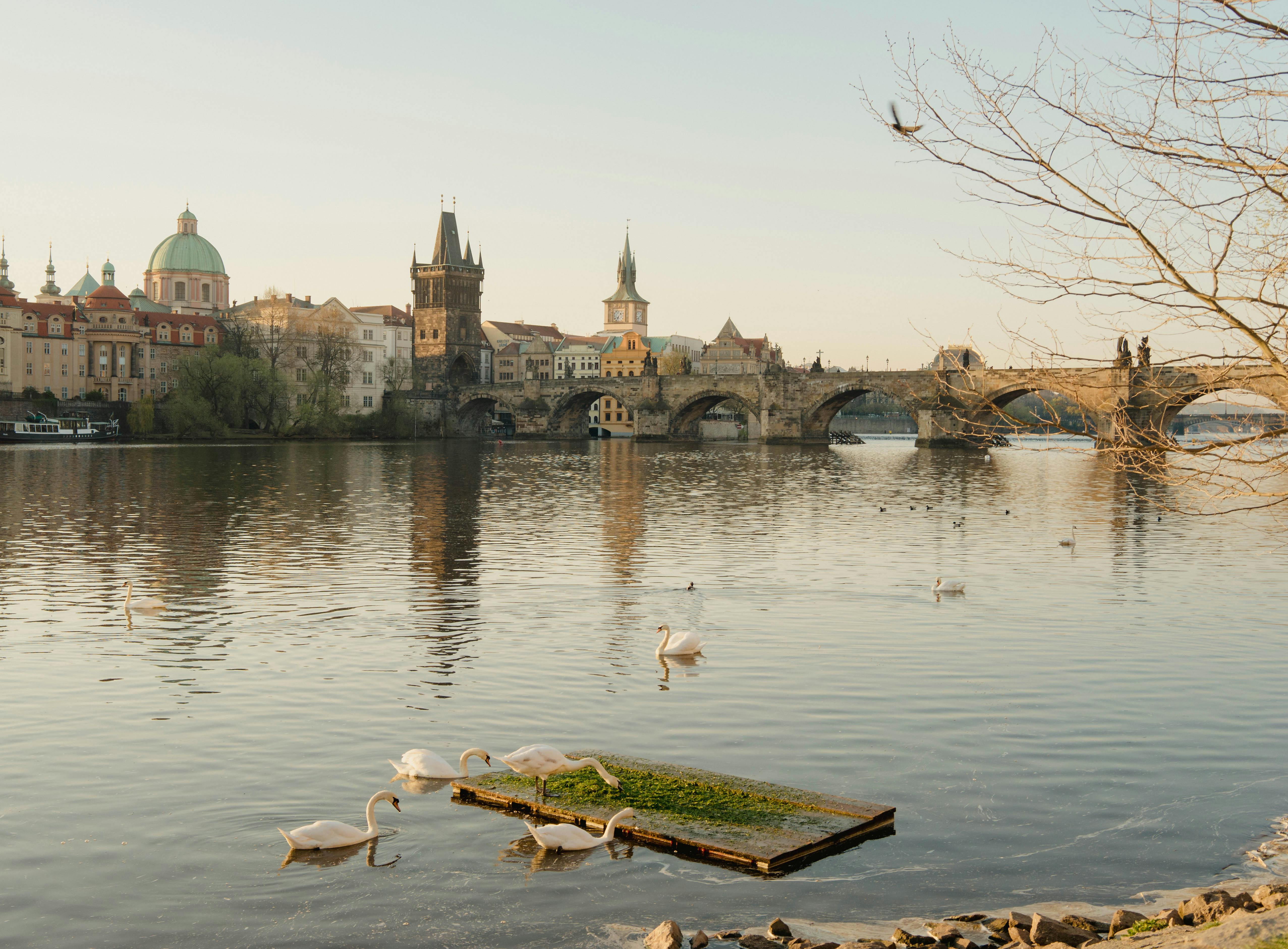 City River Photos, Download The BEST Free City River Stock Photos & HD ...